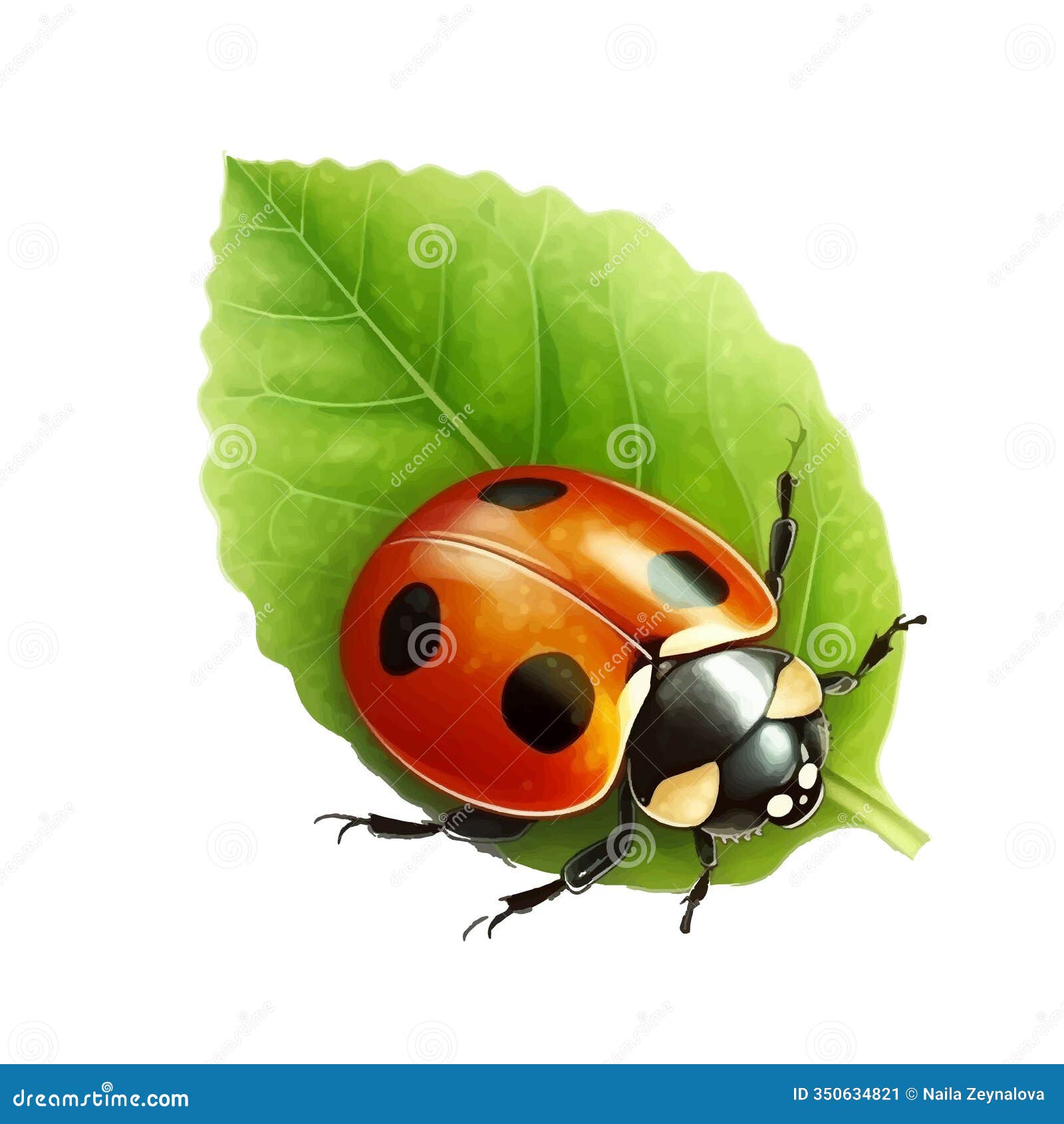 3d Red and Black Cartoon Ladybug on Green Leaf. Drawing Surface ...