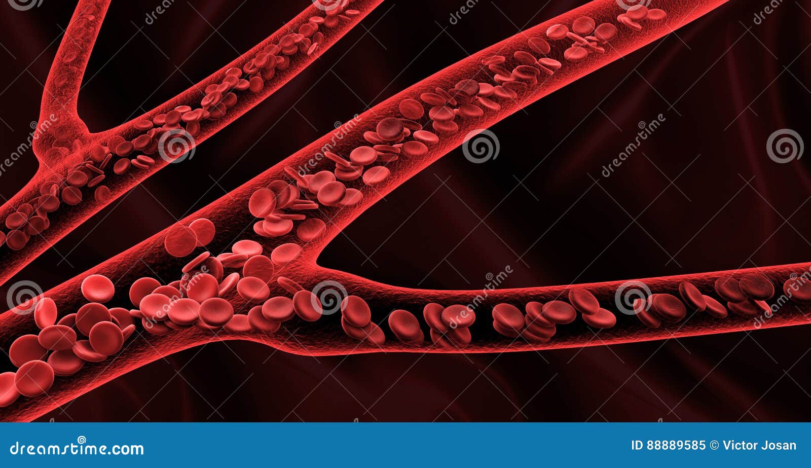 3d Rendant Les Globules Rouges Dans La Veine Illustration Stock ...