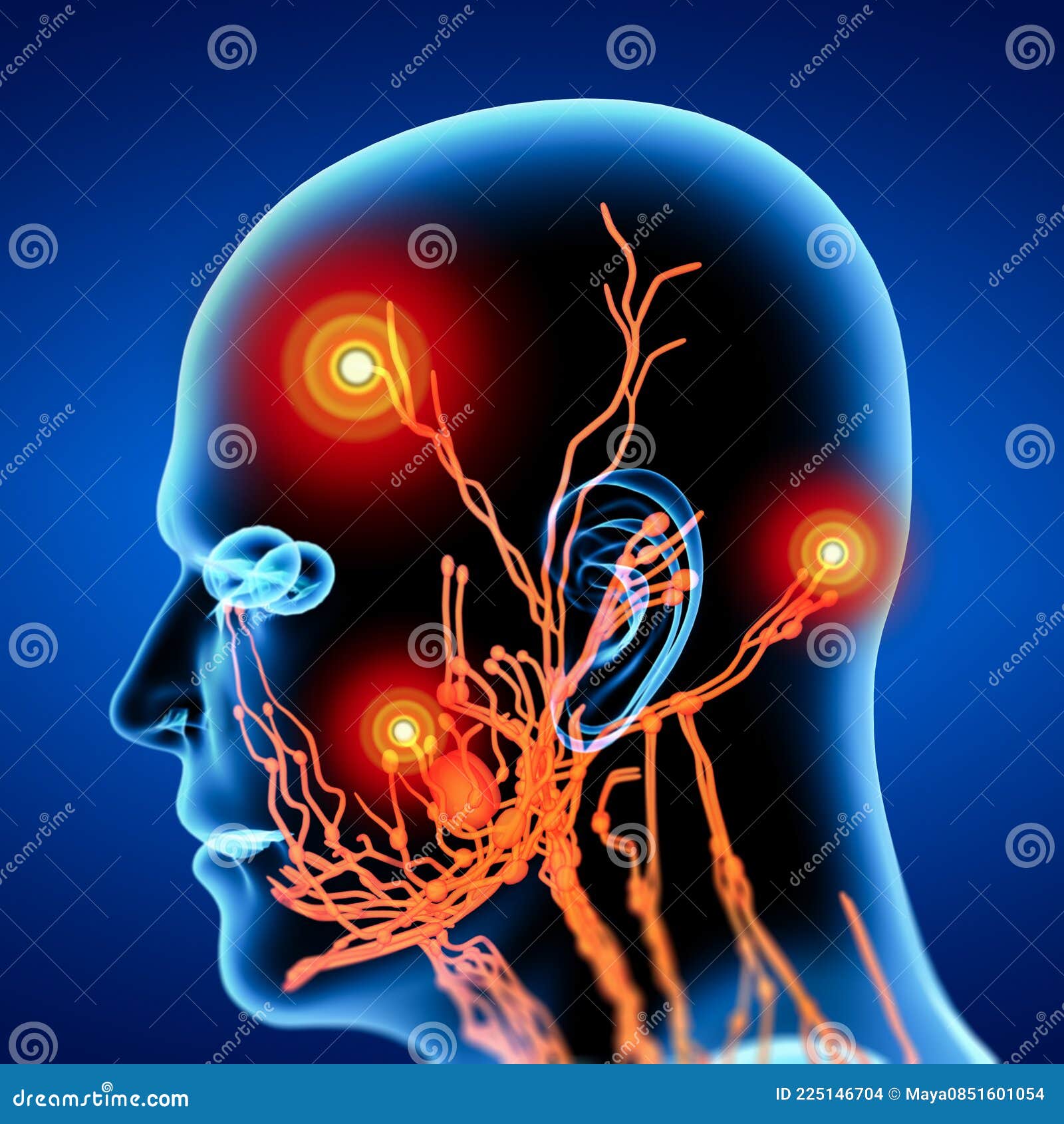 3D Rendering Illustration of Lymphatic System Stock Illustration ...