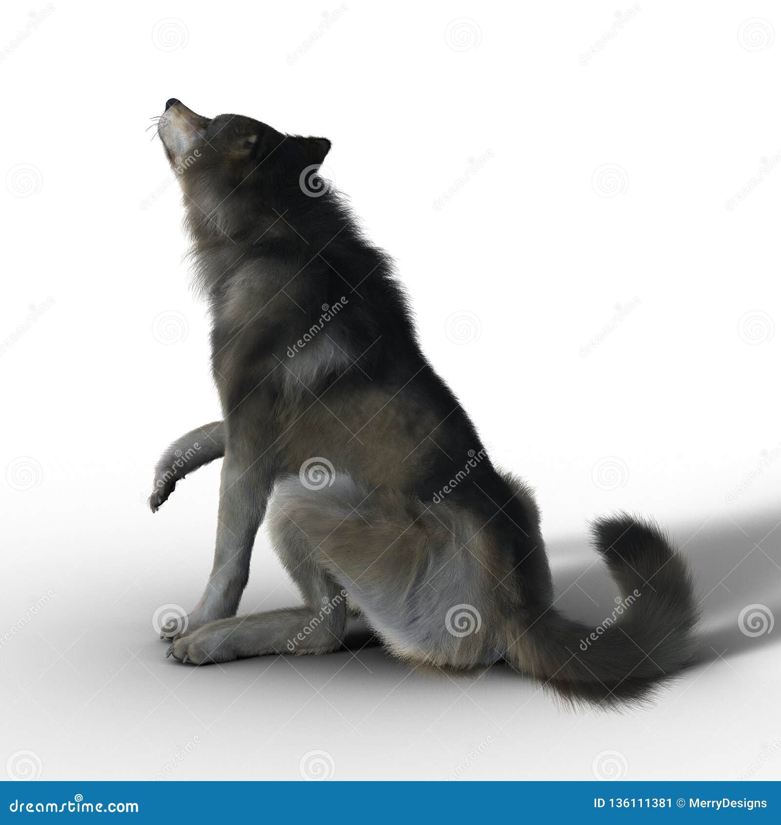 3D Rendem Grey Brown Wolf Seated Imagem de Stock - Ilustração de ...