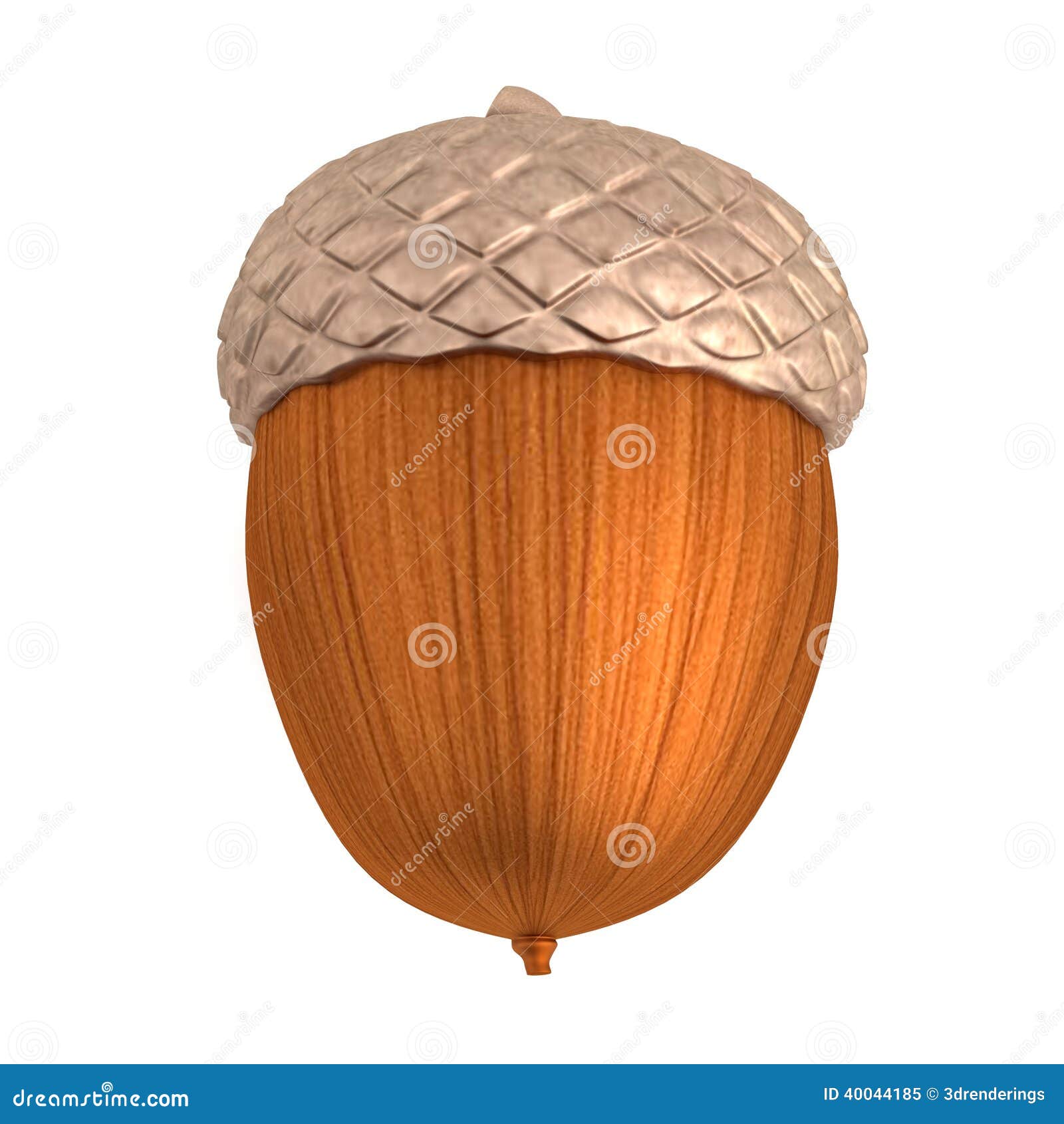 3d render of acorn stock illustration. Illustration of render - 40044185
