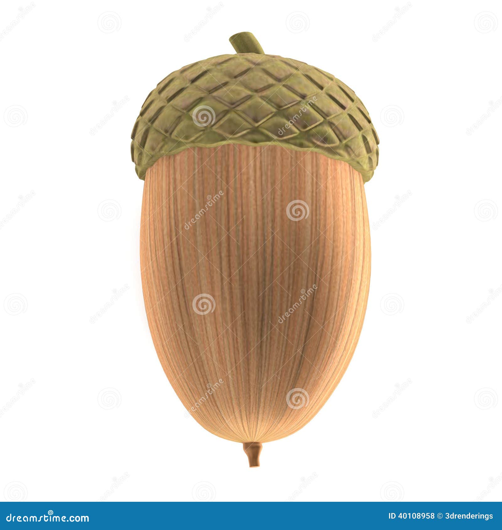 3d render of acorn stock illustration. Illustration of tree - 40108958