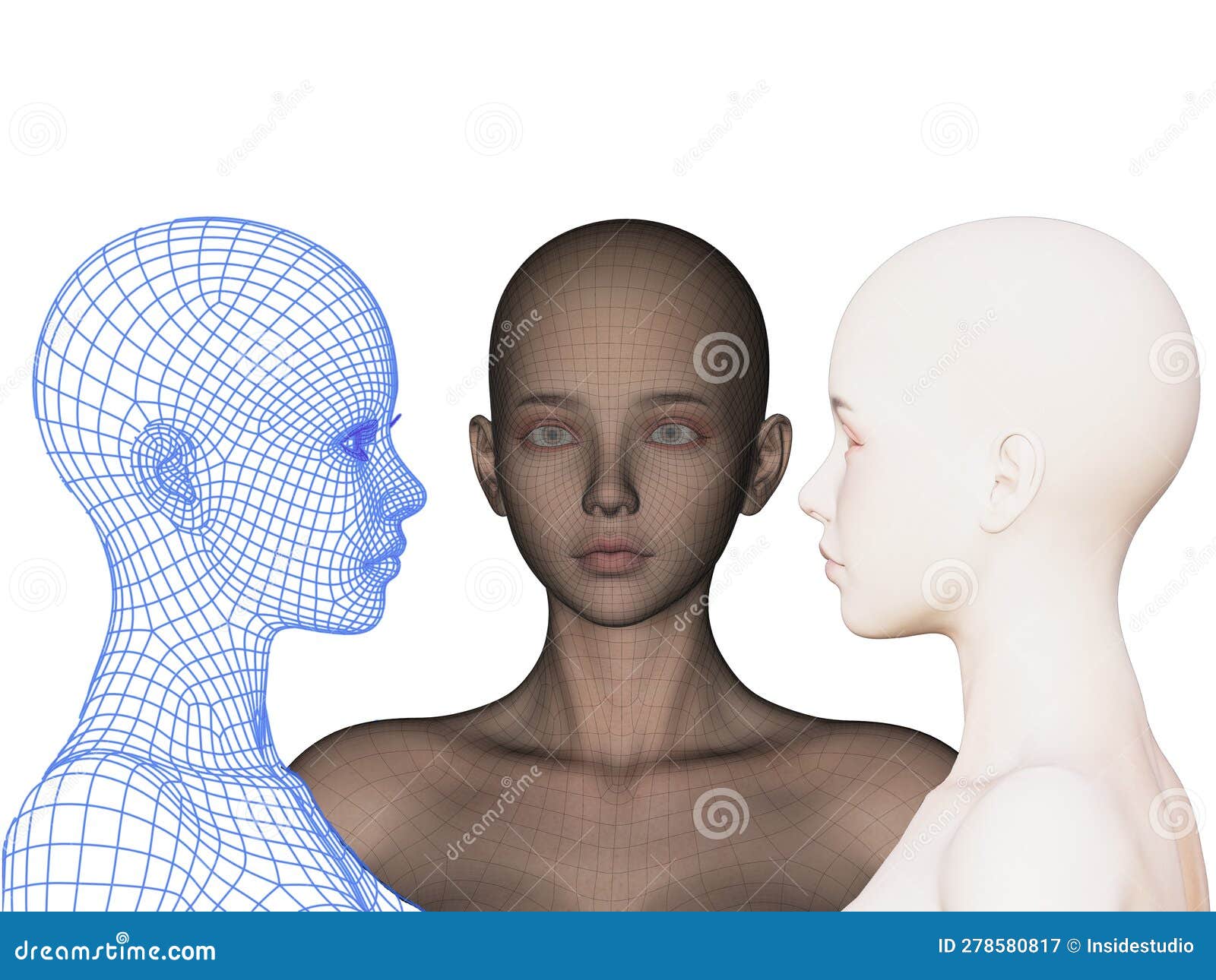 3d Render. Angles of a Female Bald Head on a White Background. Three ...