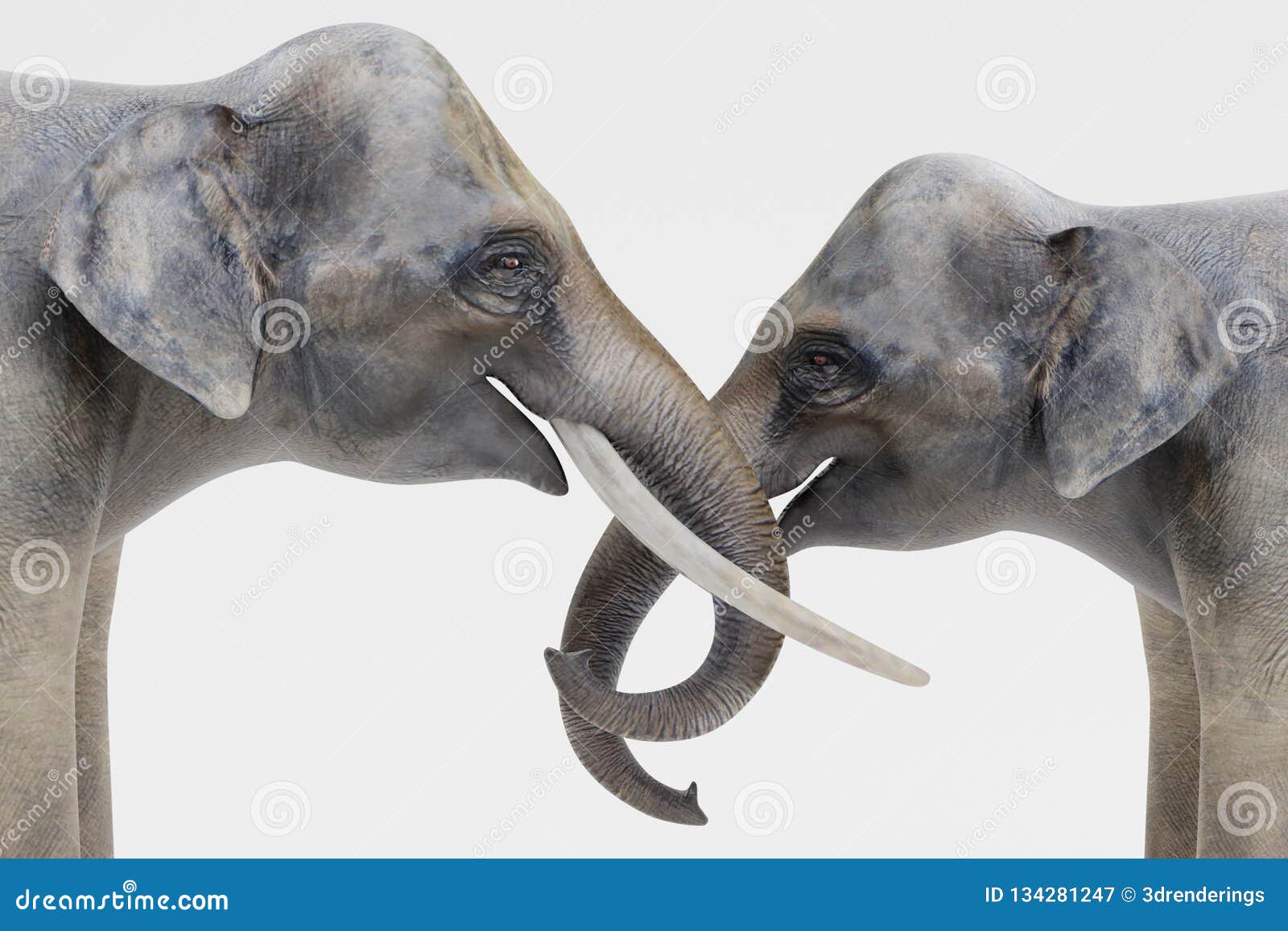 3D Render of Asian Elephants Stock Illustration - Illustration of ...