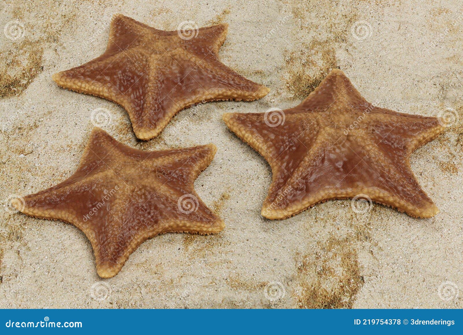 3D Render of Bat Starfish stock illustration. Illustration of render ...