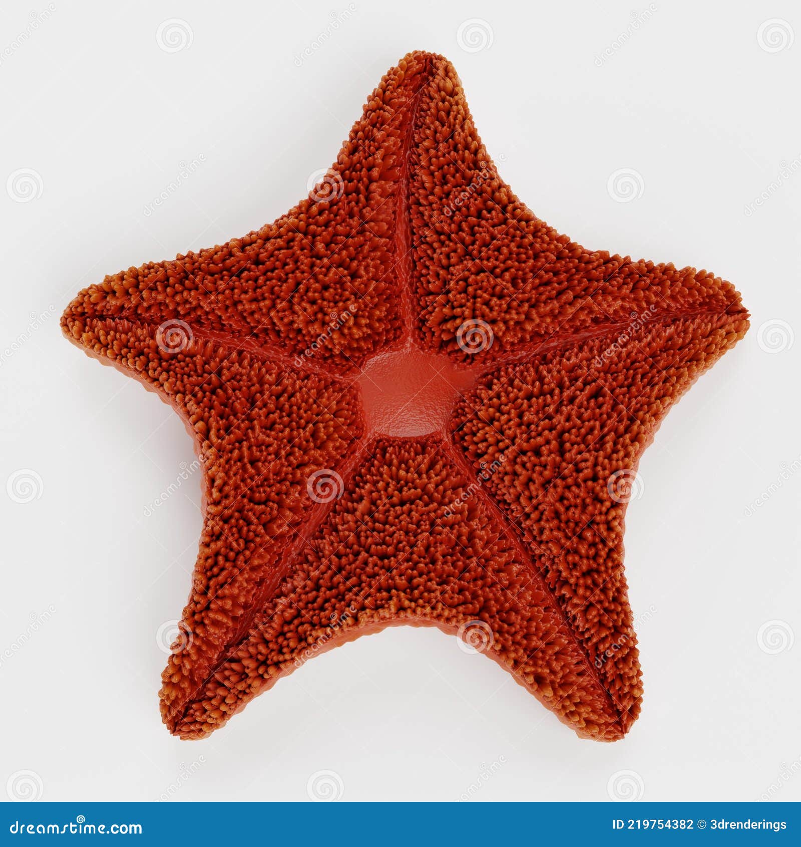 3D Render of Bat Starfish stock illustration. Illustration of seastar ...