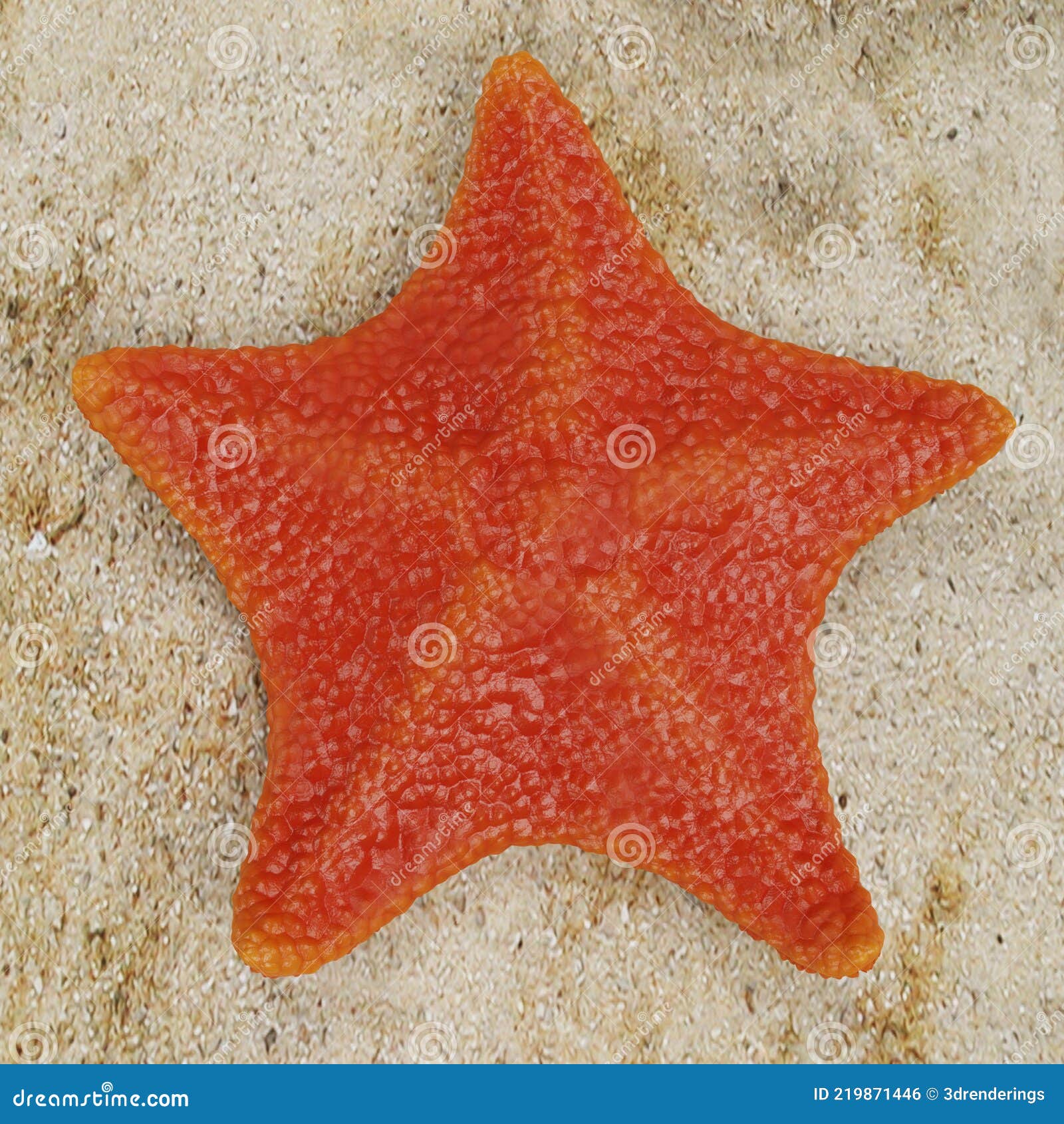 3D Render of Bat Starfish stock photo. Image of animal - 219871446