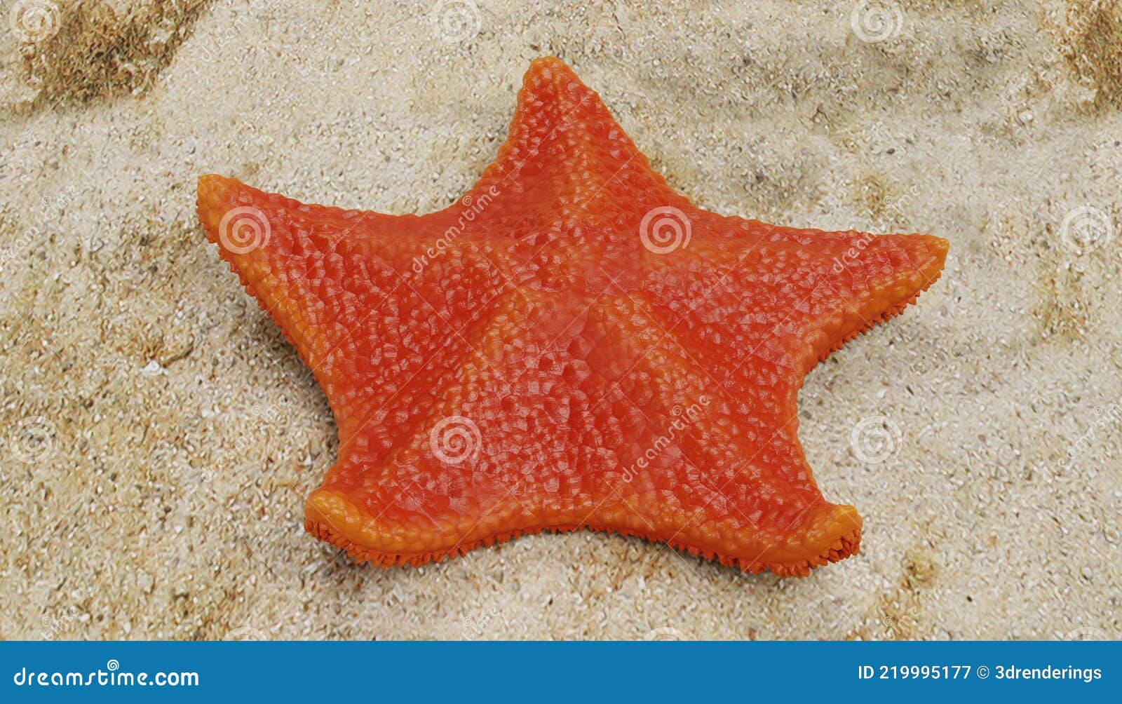 3D Render of Bat Starfish stock illustration. Illustration of seastar ...