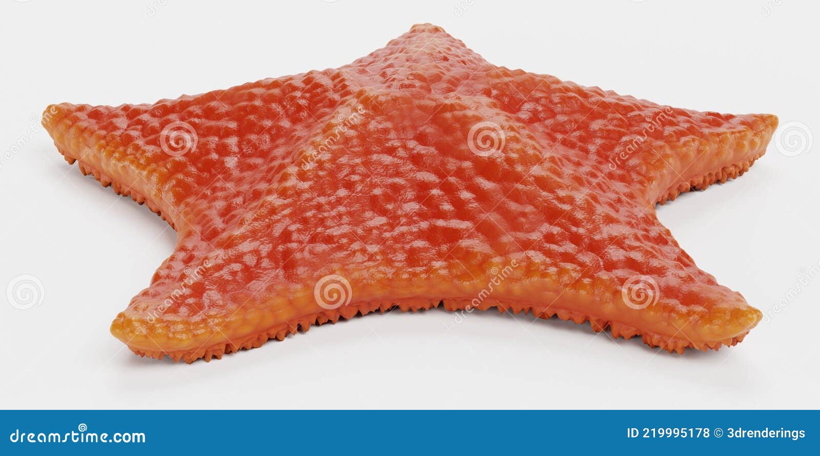 3D Render Of Bat Starfish Stock Photography | CartoonDealer.com #219754376