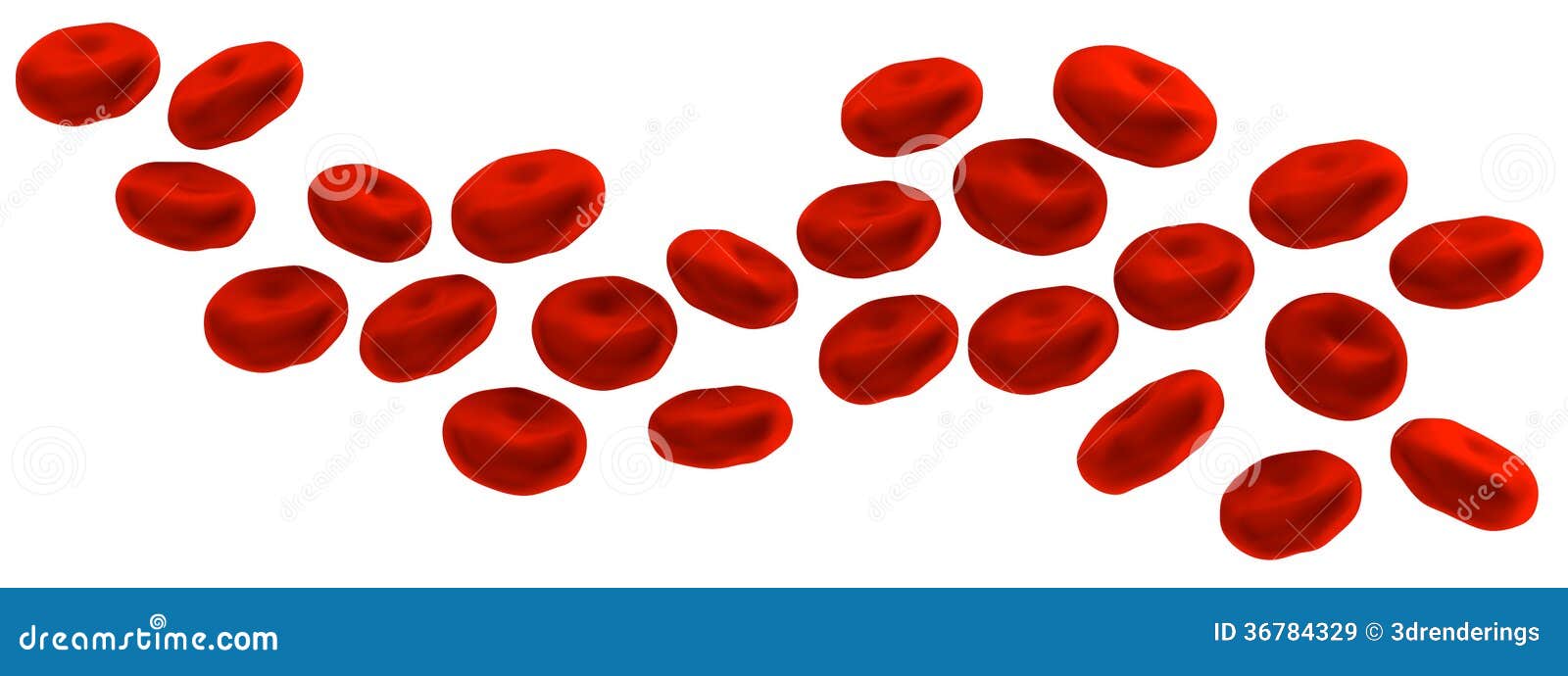 3d render of blood cells stock illustration. Illustration of anatomy ...