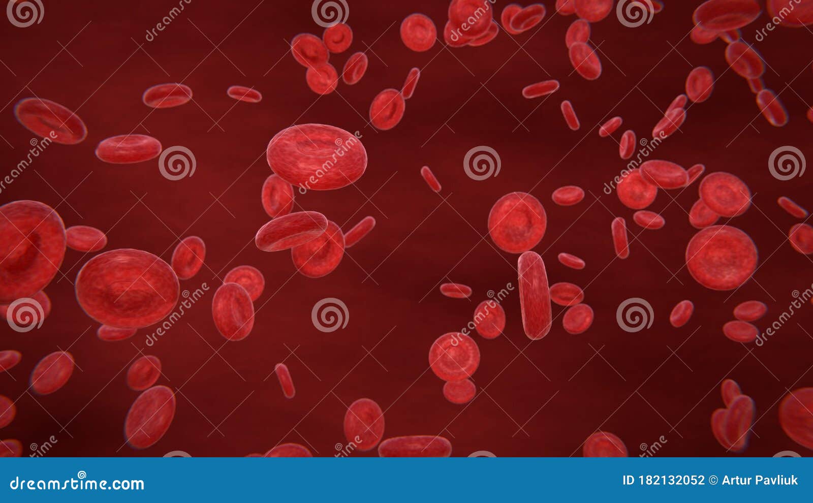 3d Render Blood Structure. Erythrocytes and Leukocytes. Stock ...
