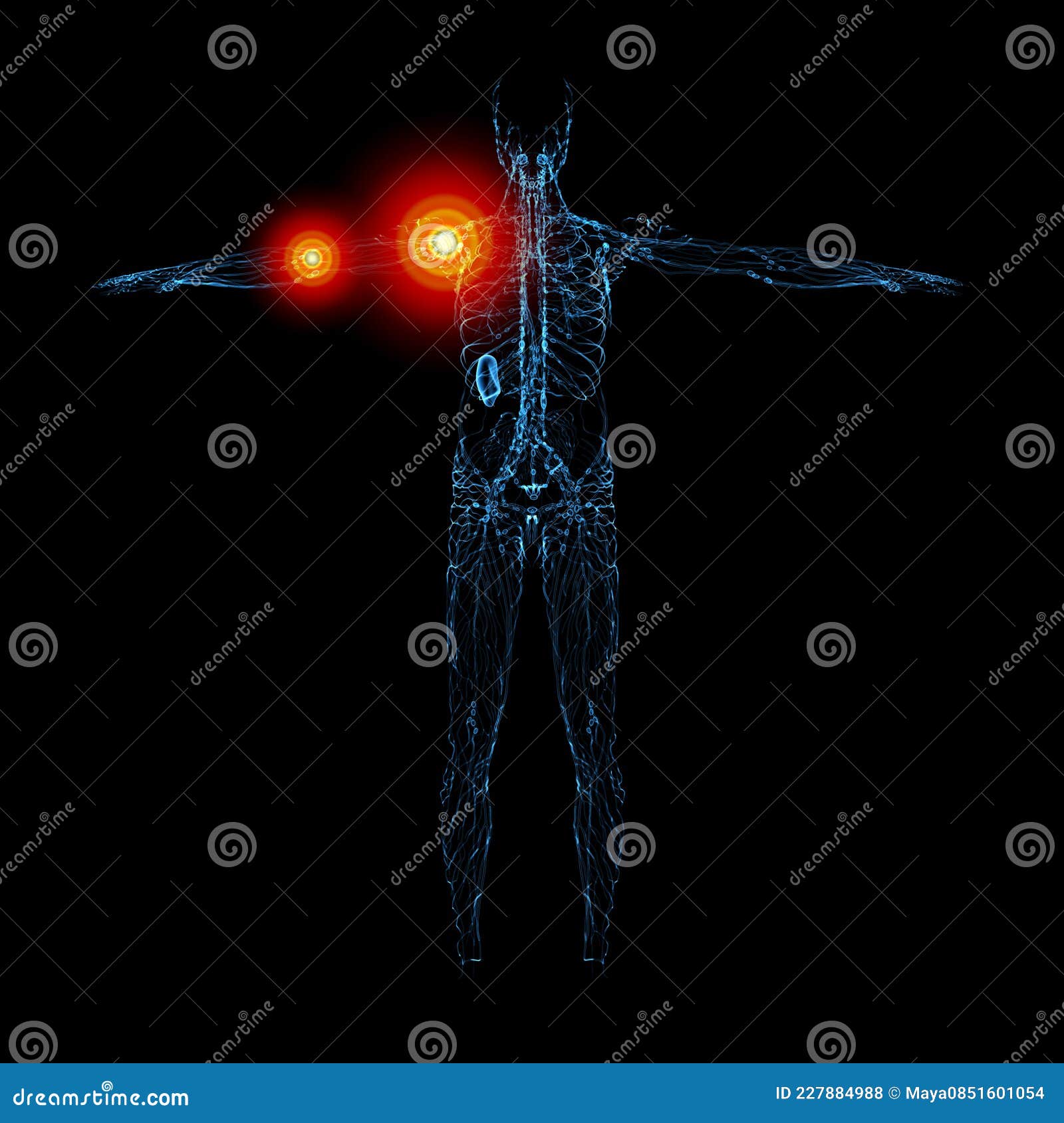 3D Rendering Illustration of Lymphatic System Stock Illustration ...