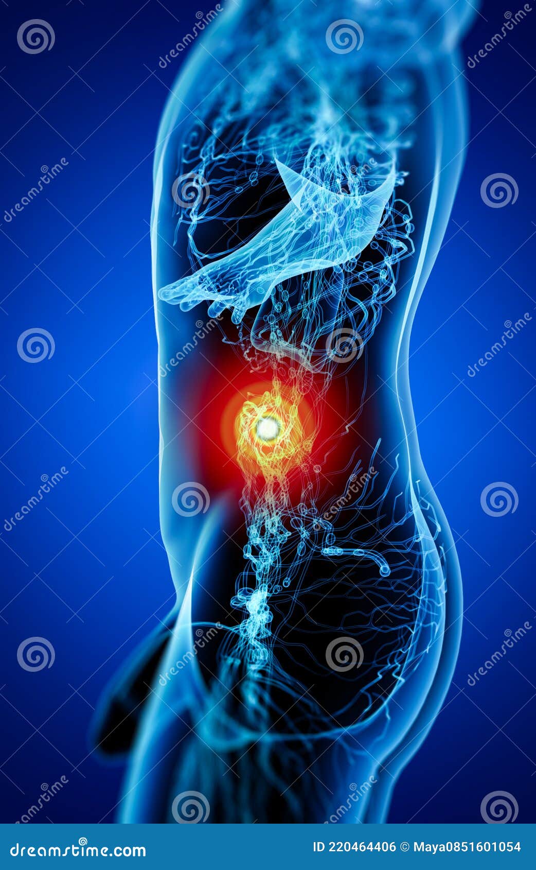 3D Rendering Illustration of Lymphatic System Stock Illustration ...