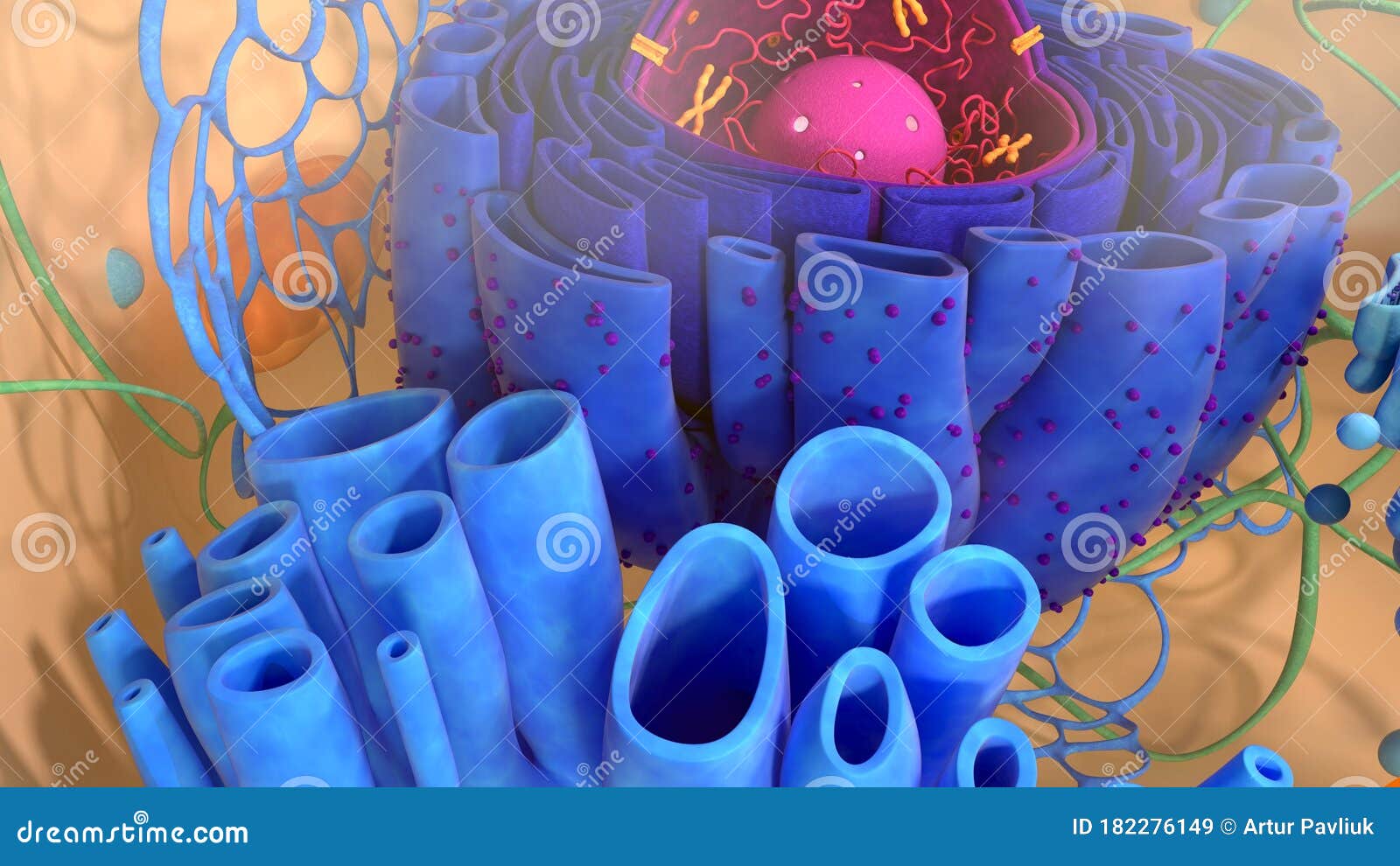 3d Render of Body Cells. 3d Illustration Cell Modell. Stock ...