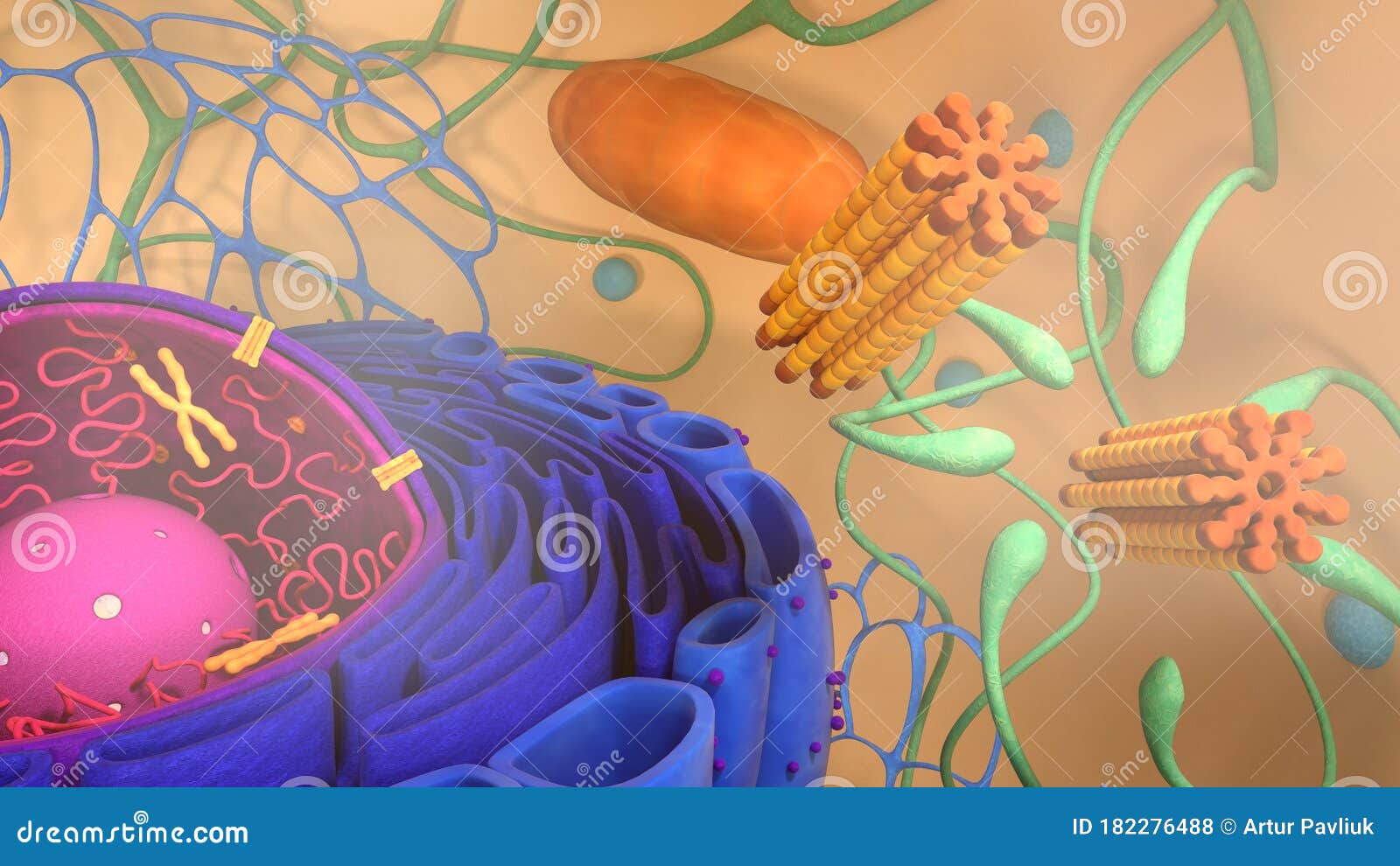 3d Render of Body Cells. 3d Illustration Cell Modell. Stock ...