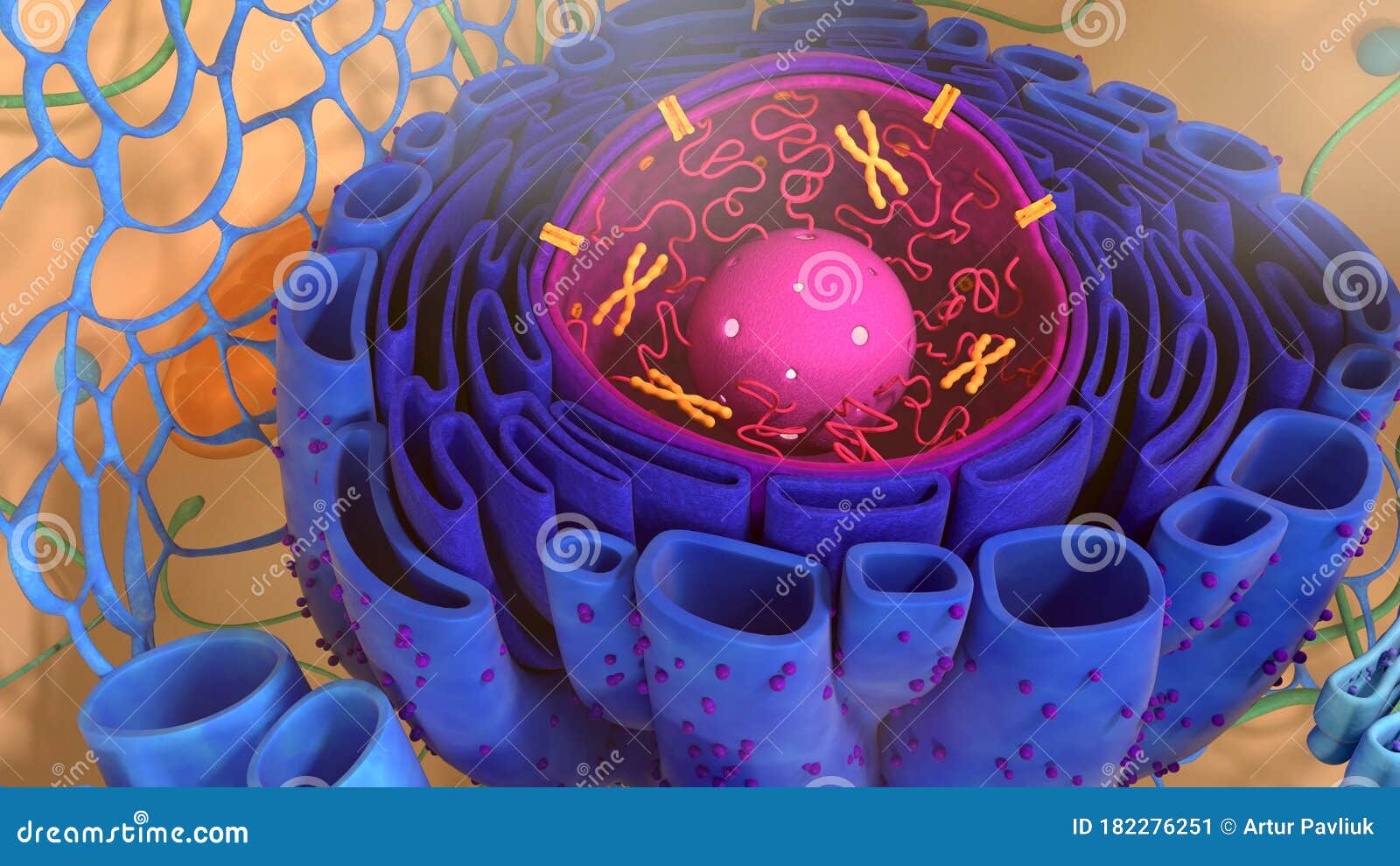 3d Render of Body Cells. 3d Illustration Cell Modell. Stock ...