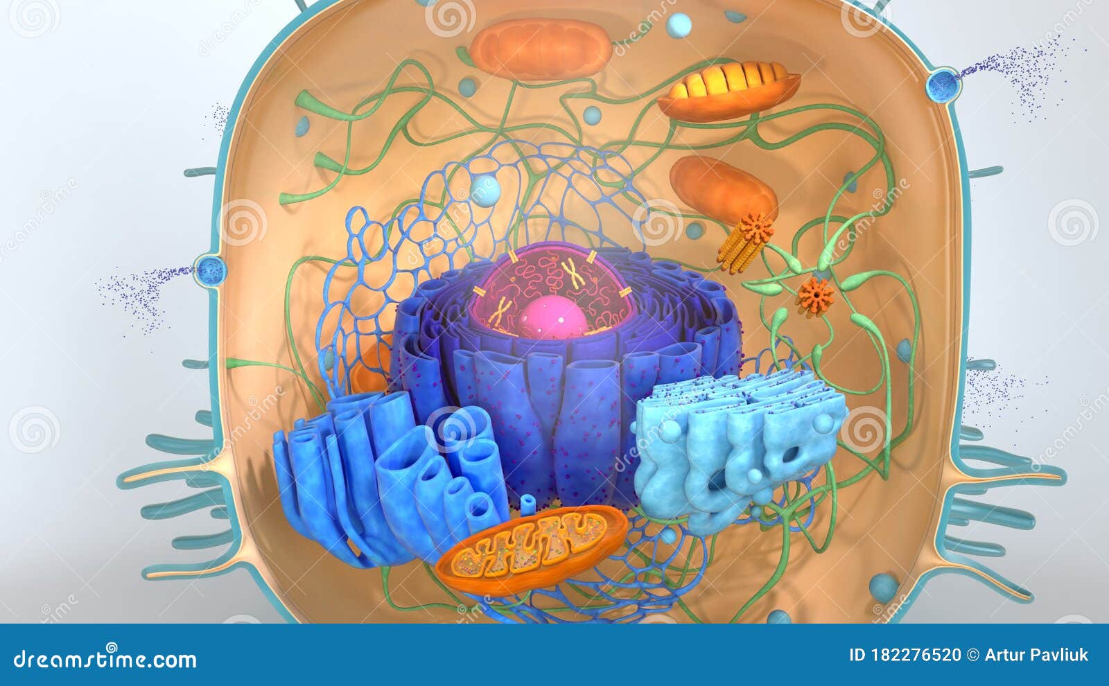 3d Render of Body Cells. 3d Illustration Cell Modell. Stock ...