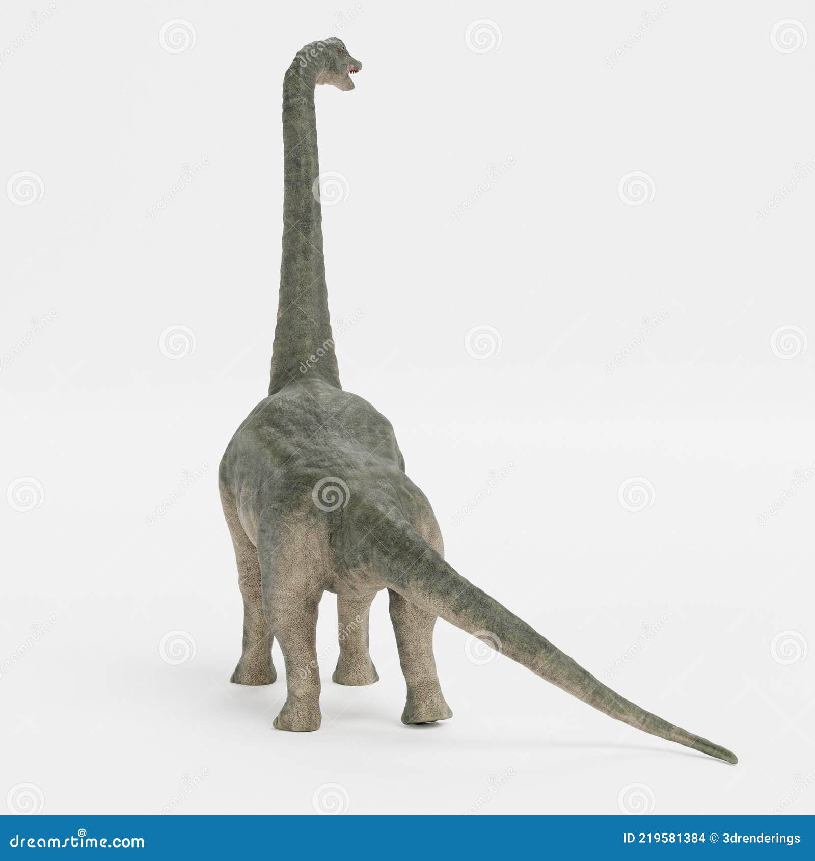 3D Render of Brachiosaurus Dinosaur Stock Illustration - Illustration ...