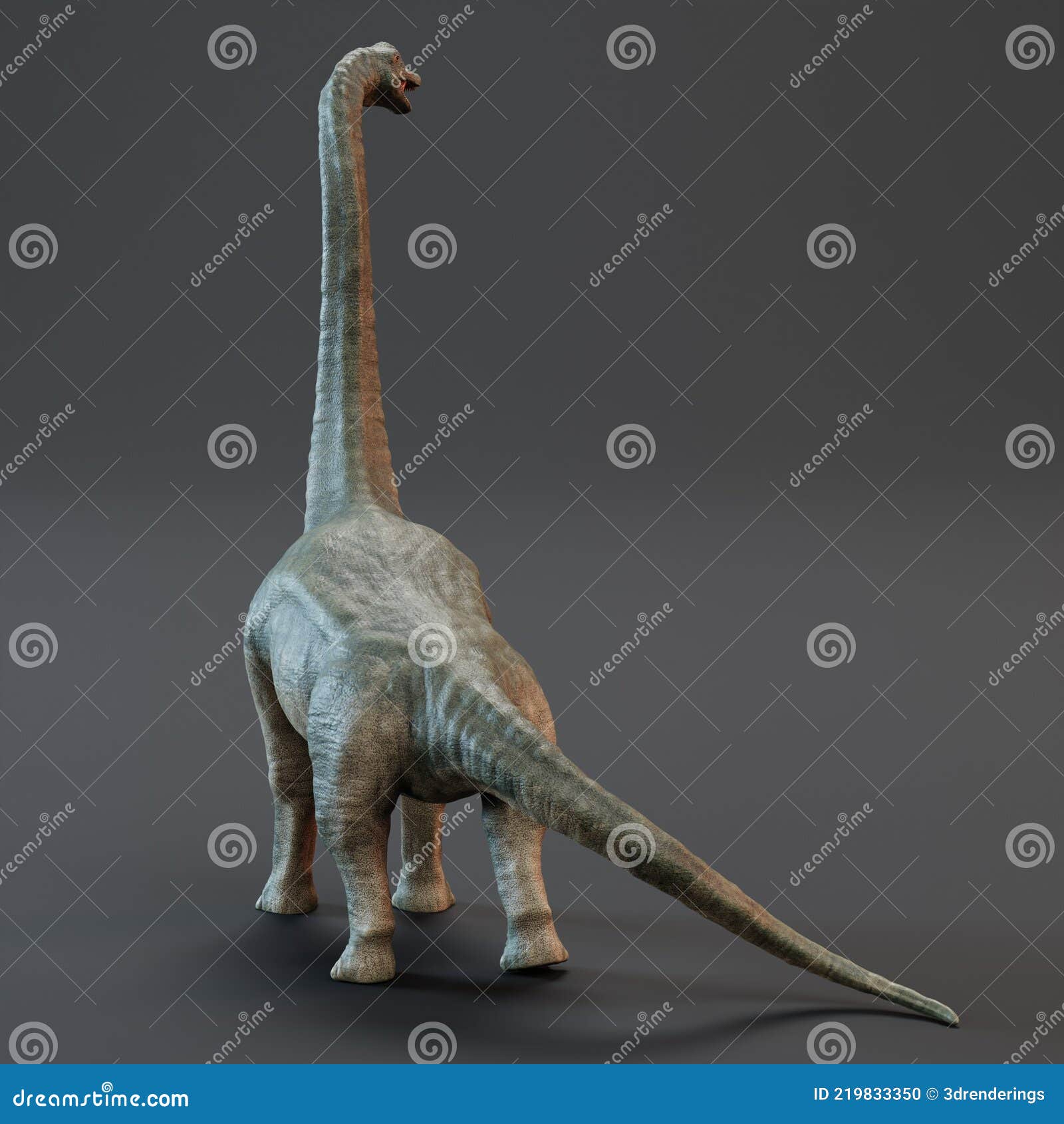 3D Render of Brachiosaurus Dinosaur Stock Illustration - Illustration ...