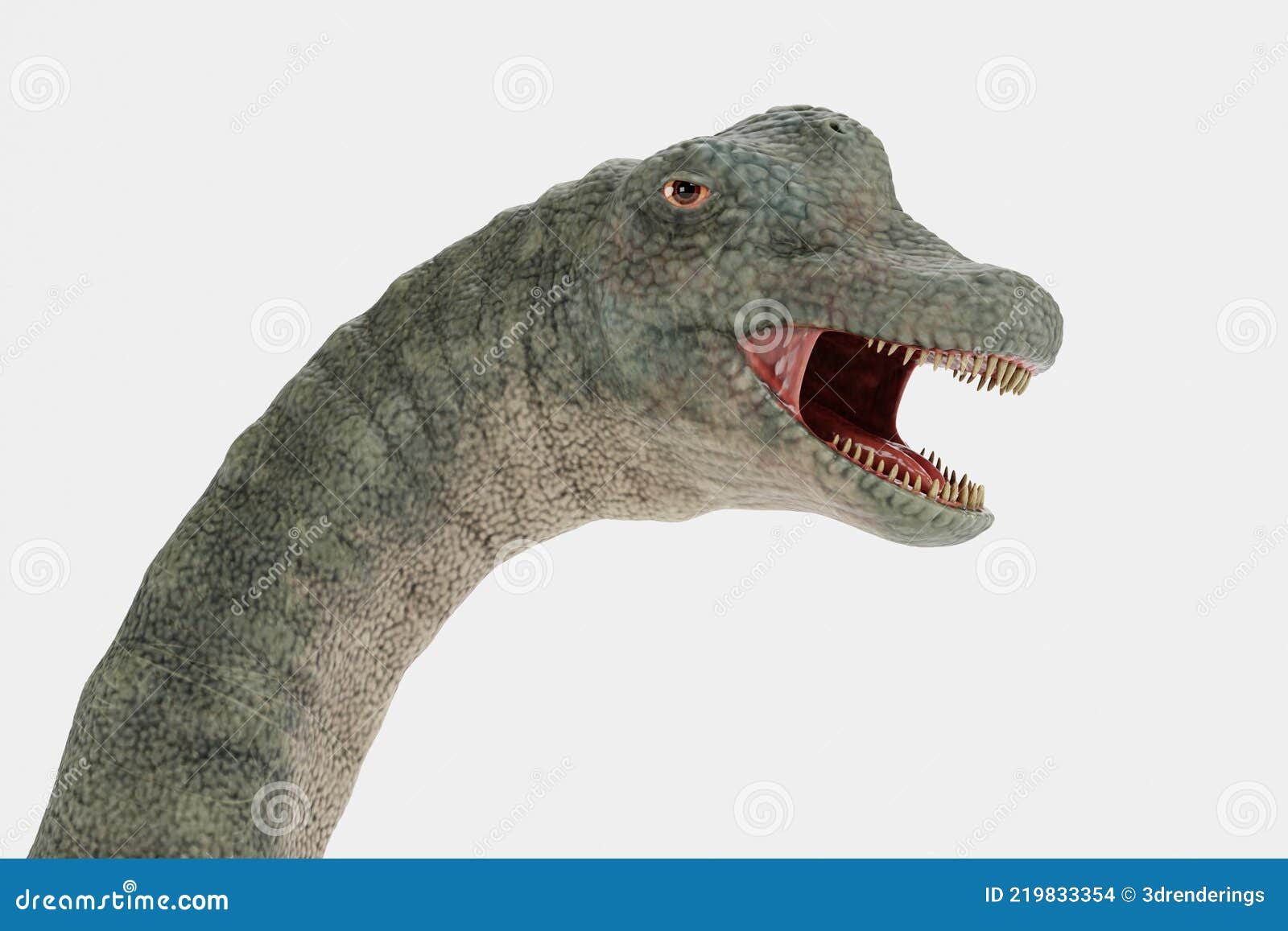 3D Render of Brachiosaurus Dinosaur Stock Illustration - Illustration ...