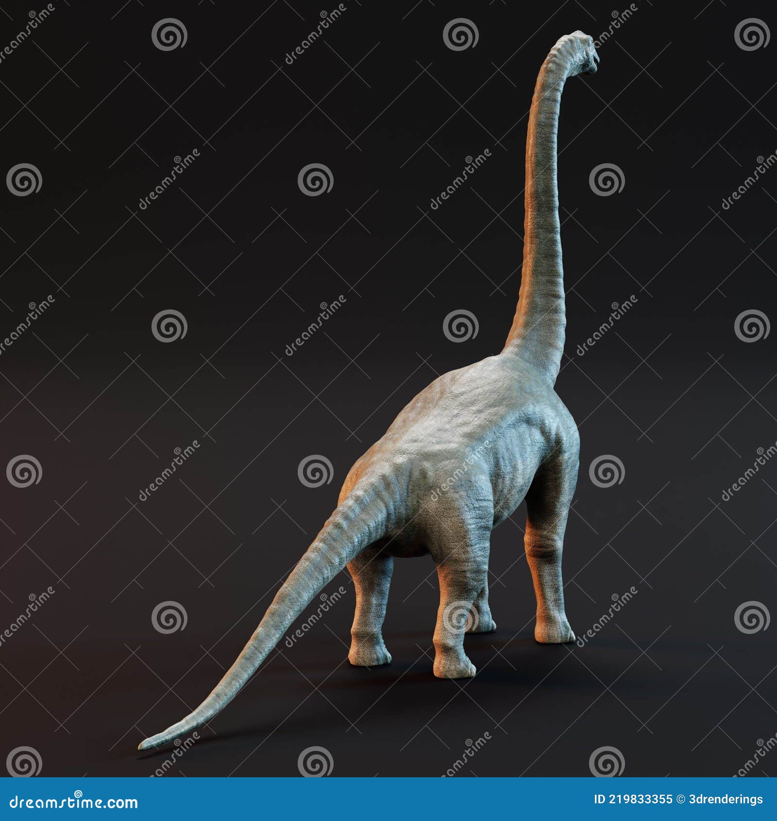 3D Render of Brachiosaurus Dinosaur Stock Illustration - Illustration ...