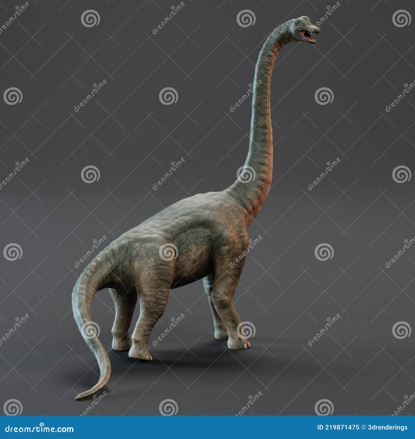 3D Render of Brachiosaurus Dinosaur Stock Illustration - Illustration ...