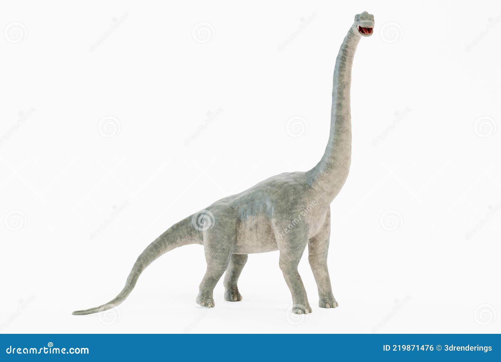 3D Render of Brachiosaurus Dinosaur Stock Illustration - Illustration ...