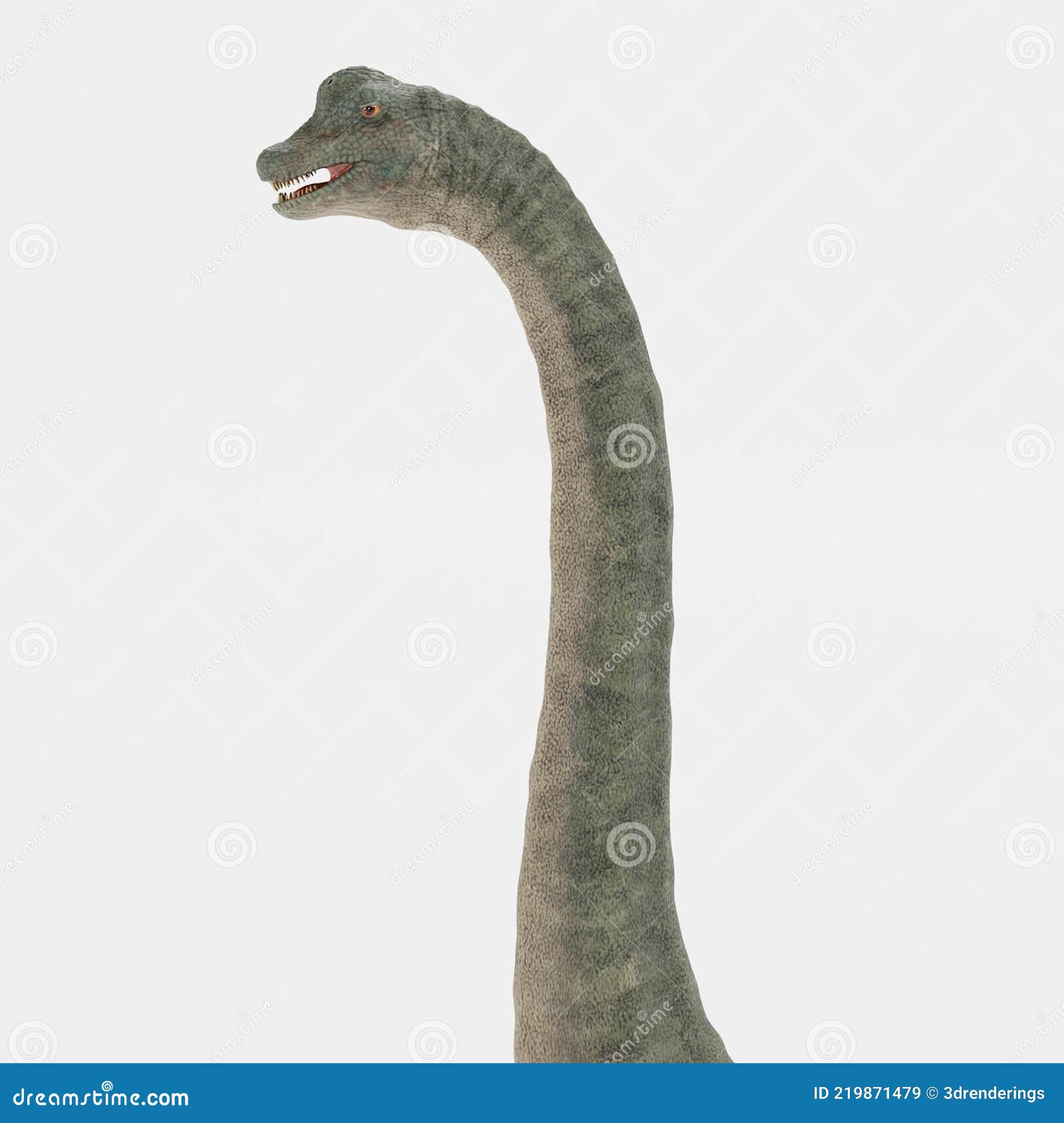 Brachiosaurus Realistic Model. Head Close Of Dinosaur Stock Photography ...