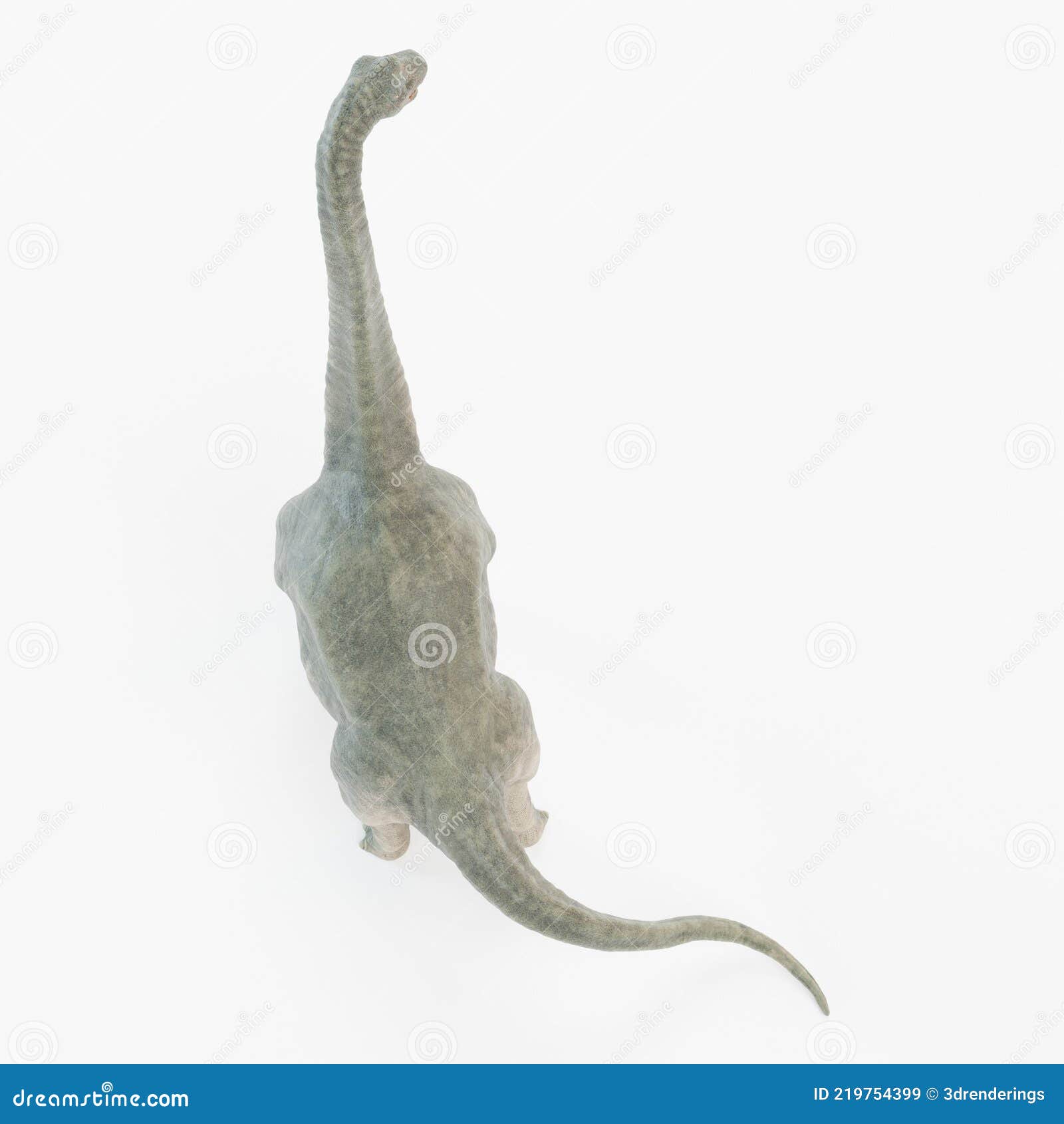 3D Render of Brachiosaurus Dinosaur Stock Illustration - Illustration ...