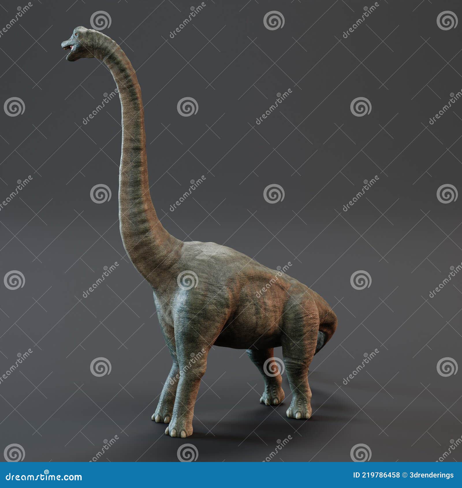 3D Render of Brachiosaurus Dinosaur Stock Illustration - Illustration ...