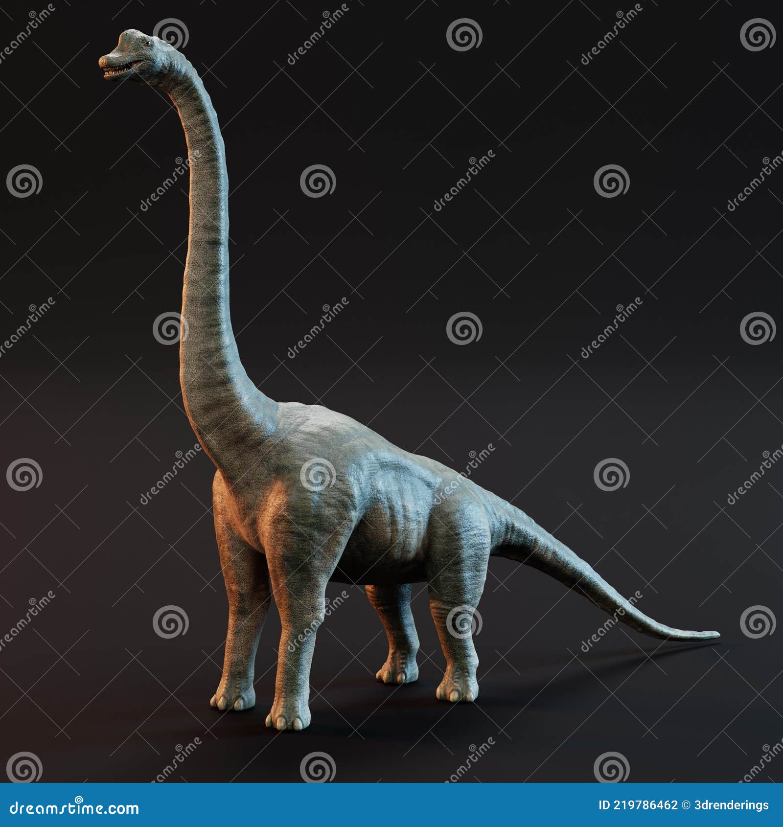 3D Render of Brachiosaurus Dinosaur Stock Illustration - Illustration ...