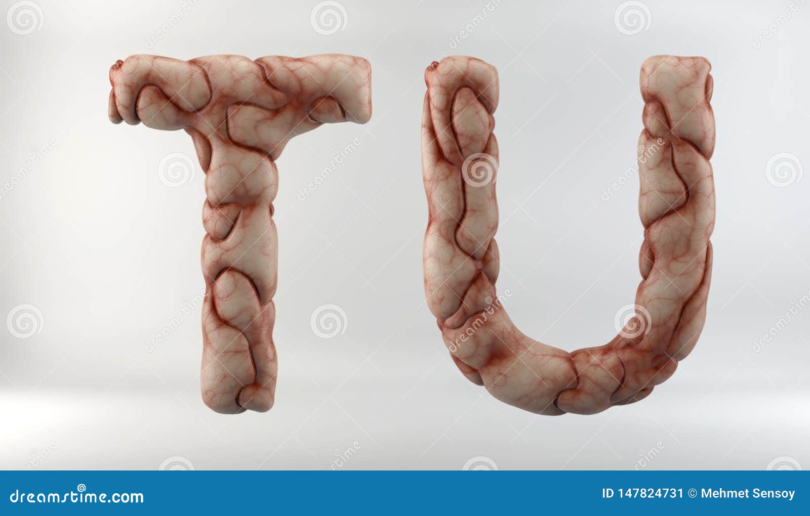 Brain Alphabet Isolated On White Background.Brain Font. Royalty-Free ...