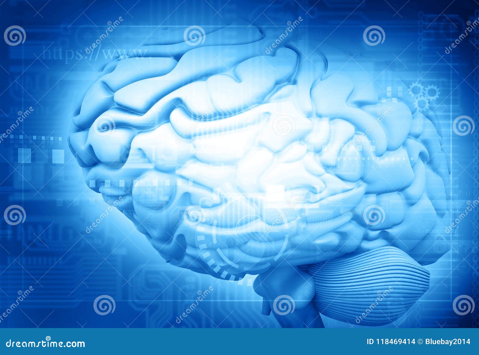 3d Render of Brain Functions Stock Illustration - Illustration of human ...