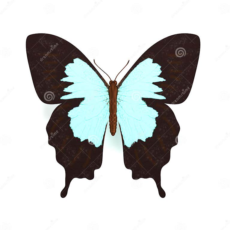3d render of butterfly stock illustration. Illustration of render ...