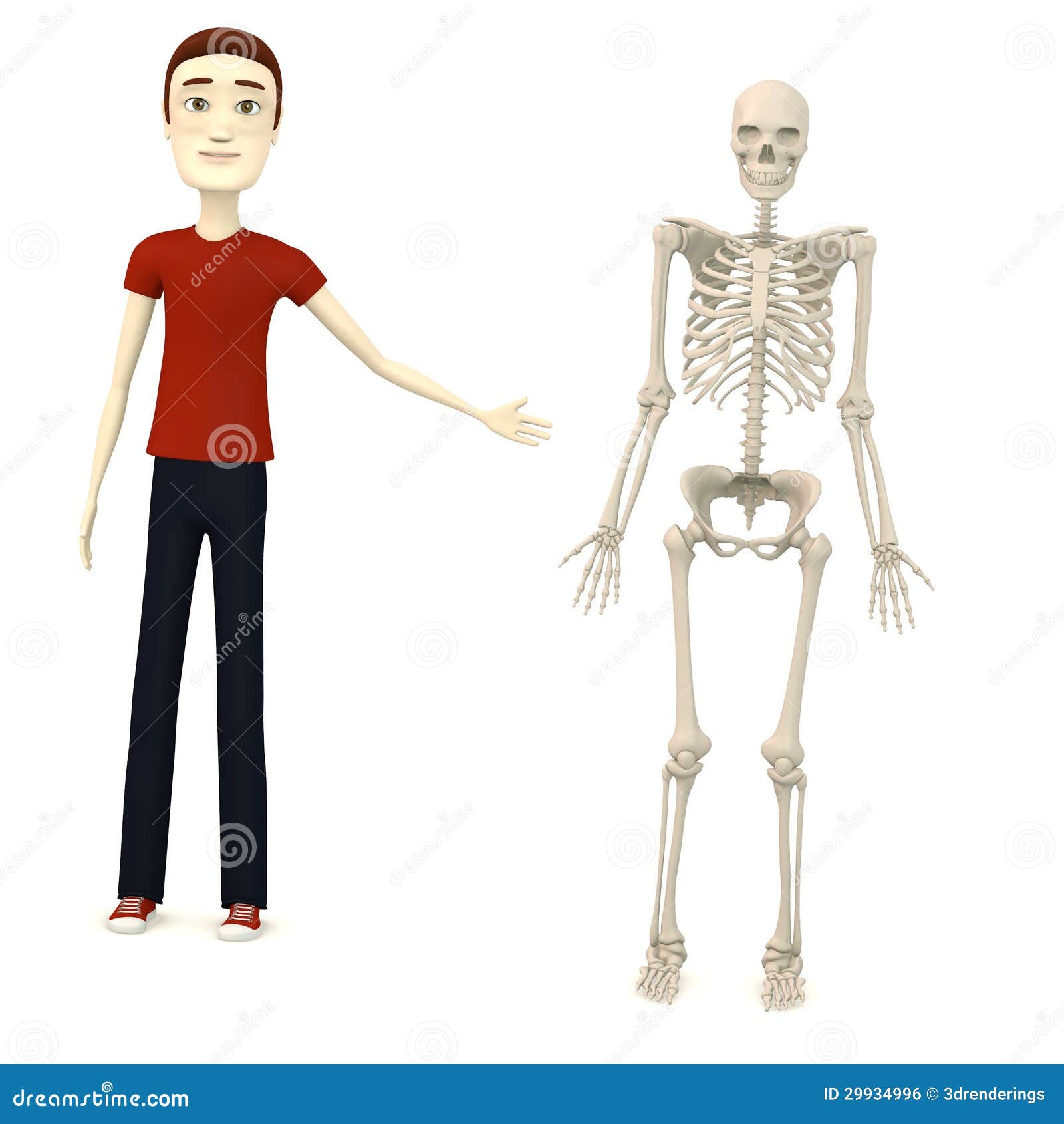 Cartoon Man with Male Skeleton Stock Illustration - Illustration of ...