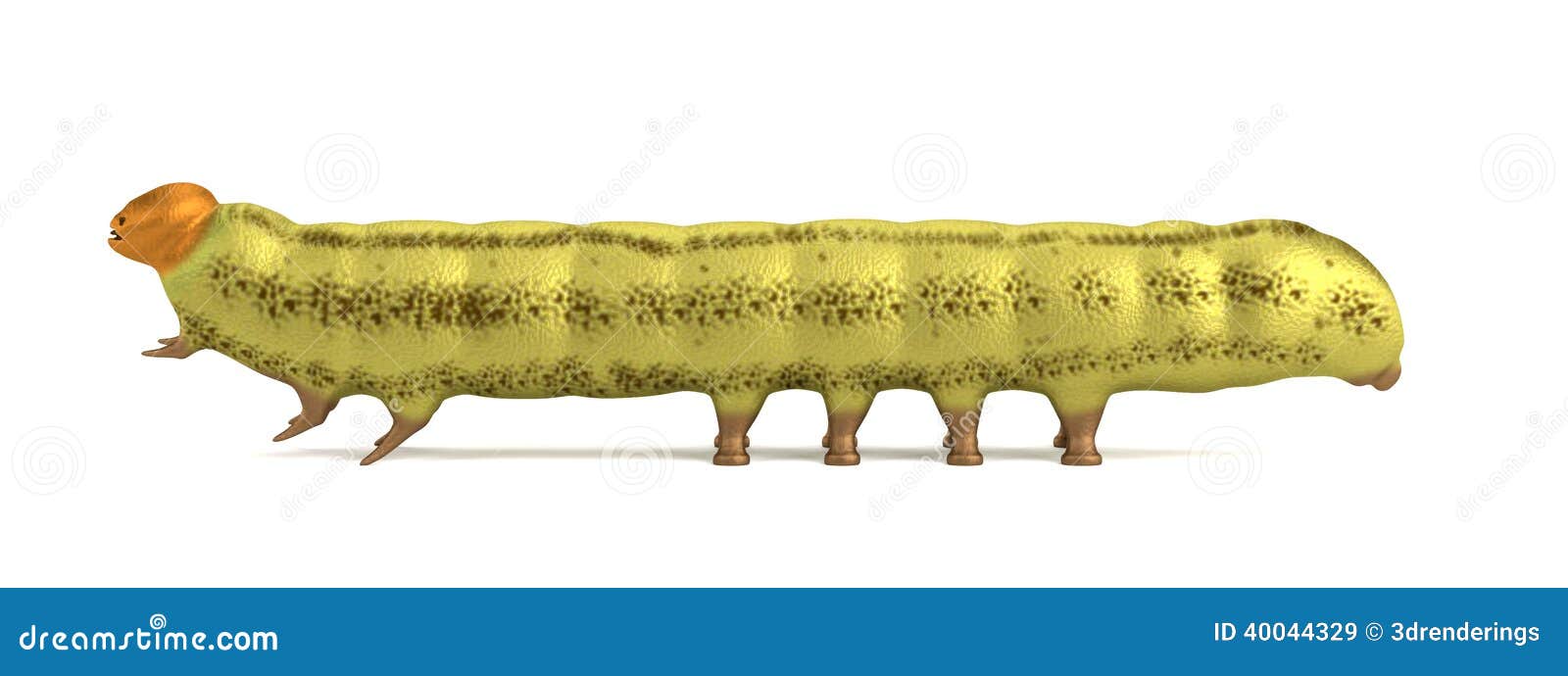 Caterpillar Realistic Isolated Vector Illustration | CartoonDealer.com ...