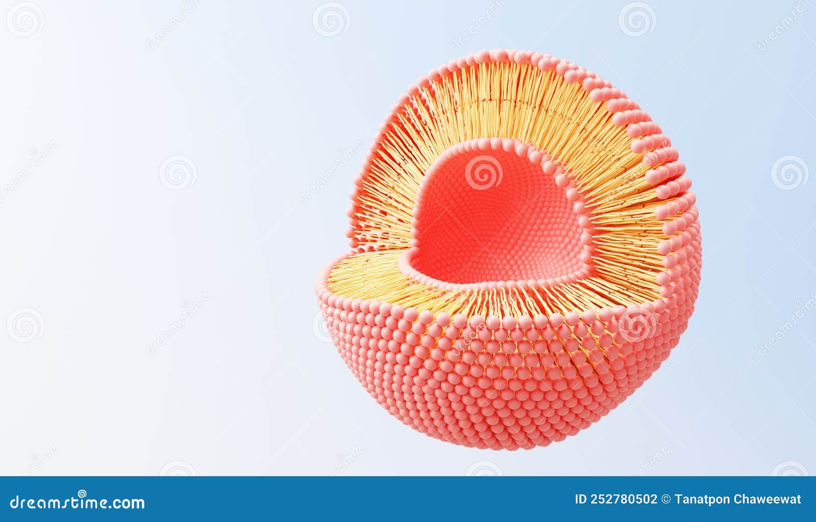 3d Render Cell Membrane Phospholipid Bilayer. Layers of Molecules. Gene ...