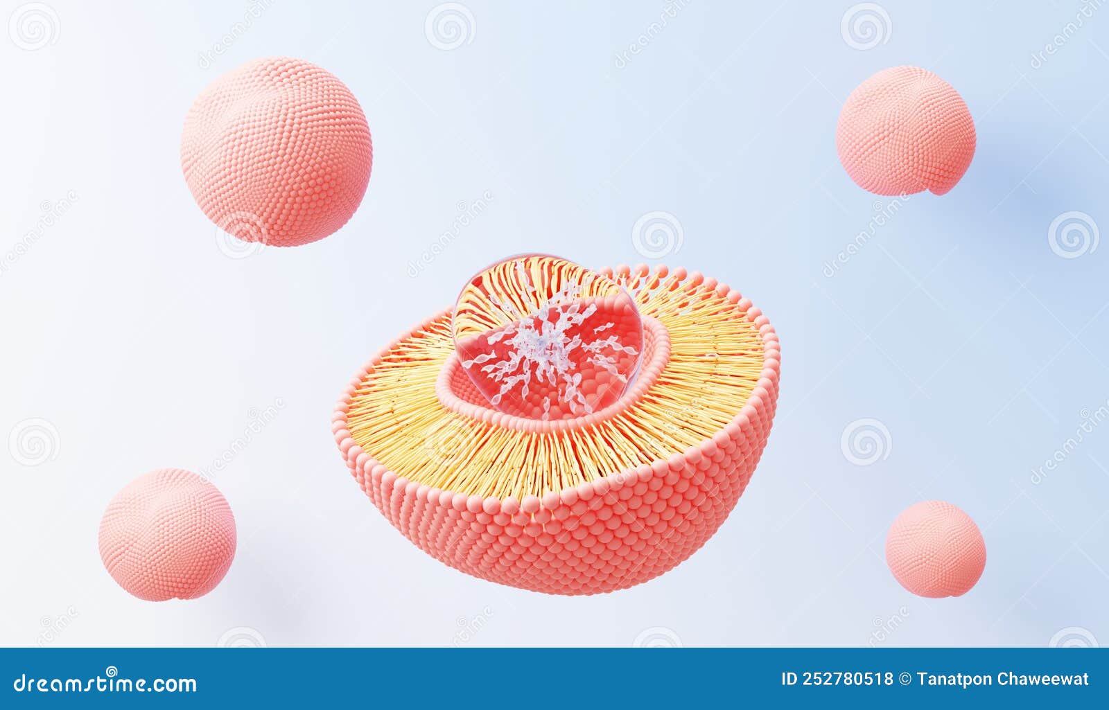Fluid Mosaic Model Vector Illustration. Cell Membrane Structure ...