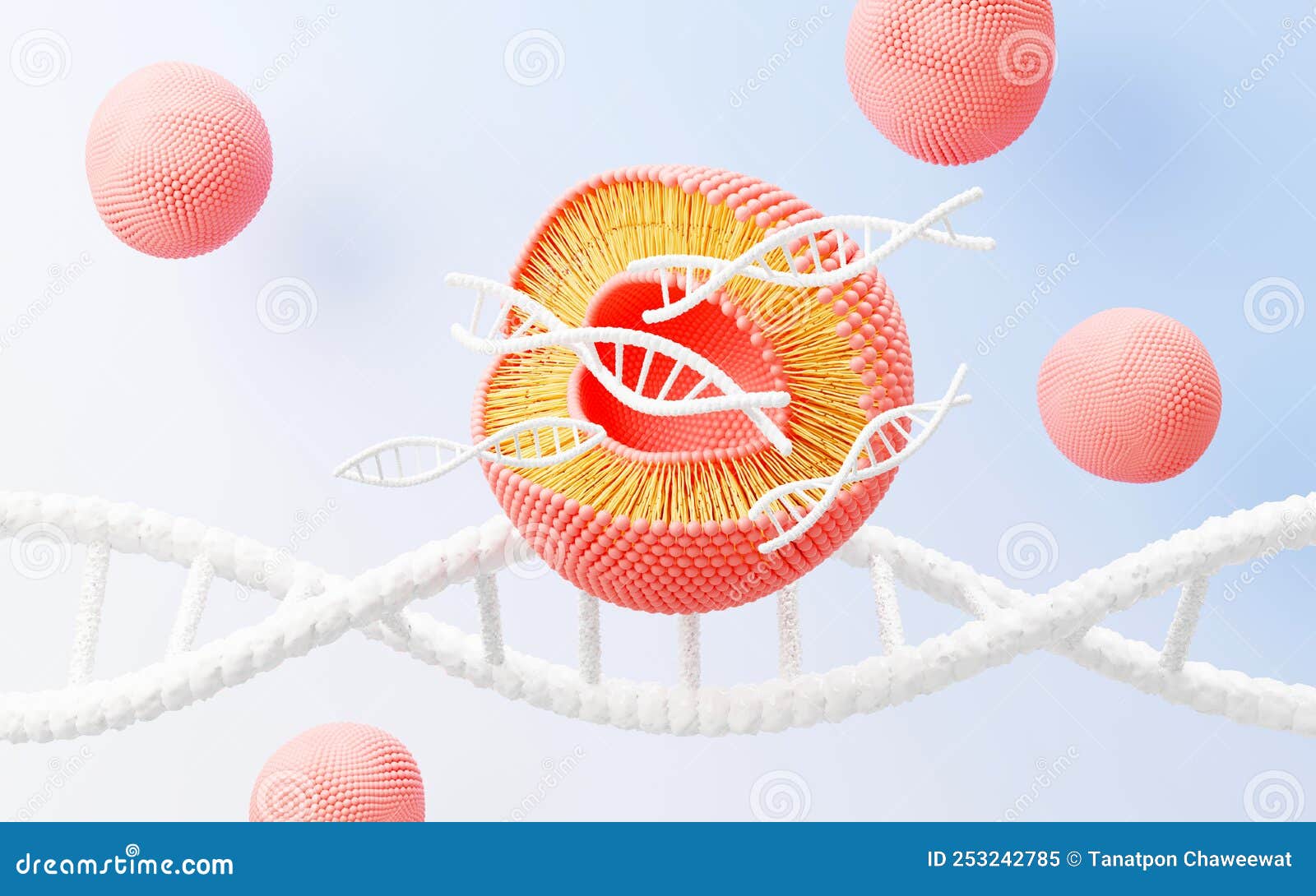 3d Render Cell Membrane Phospholipid Bilayer. Layers of Molecules. Gene ...