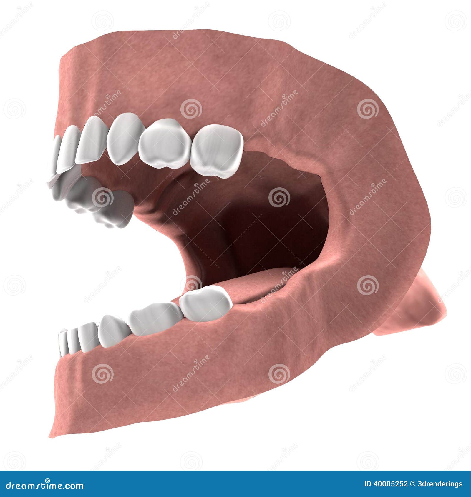 3d render of child teeth stock illustration. Illustration of graphics ...