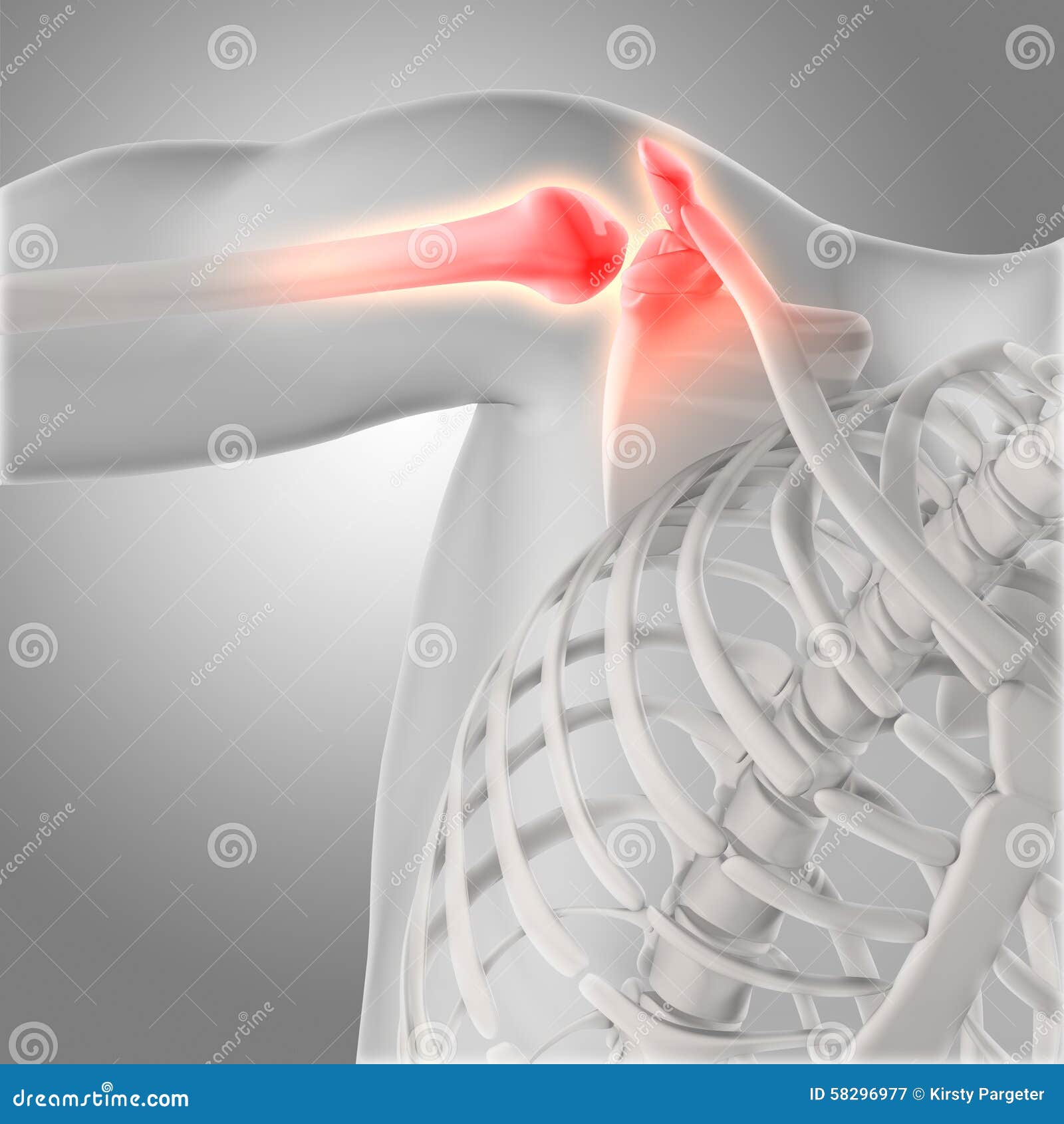 3D Render of a Close Up of a Shoulder with Glowing Skeleton Stock ...