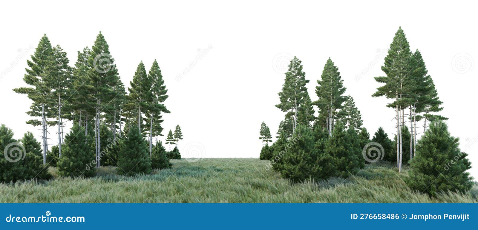 Coniferous Forest on a White Background Stock Illustration ...