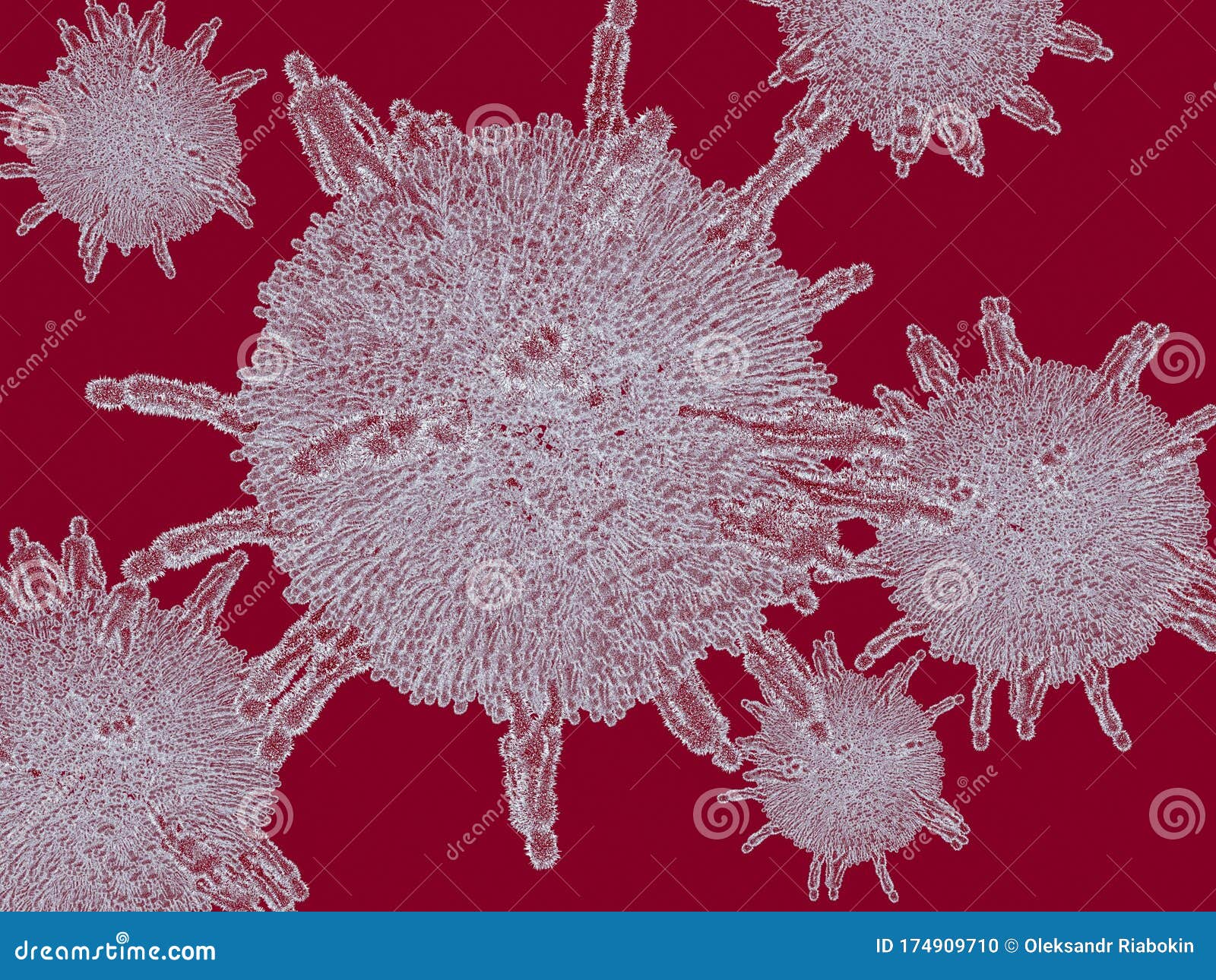 Illustration Of A Bacterial Cell Structure Shows Cell Wall, Membranes ...