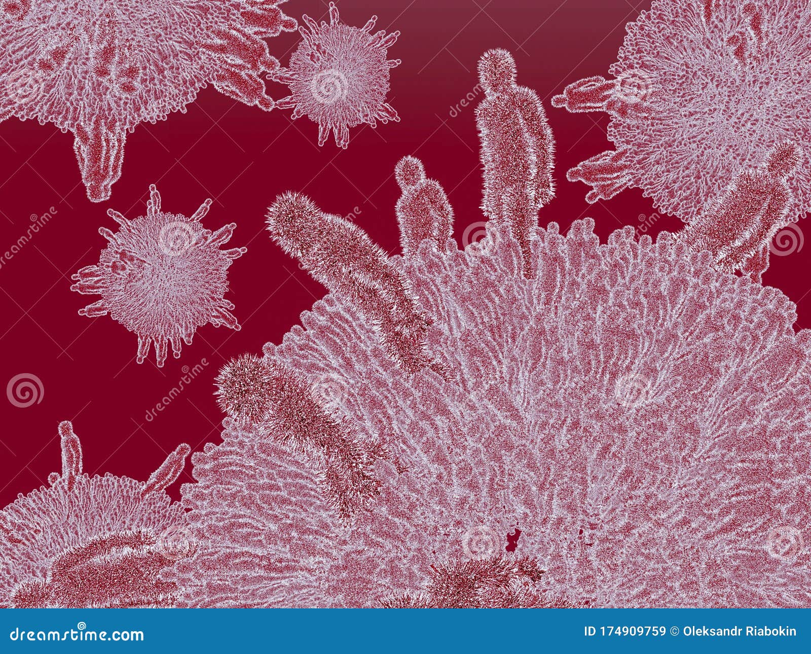 Illustration Of A Bacterial Cell Structure Shows Cell Wall, Membranes ...