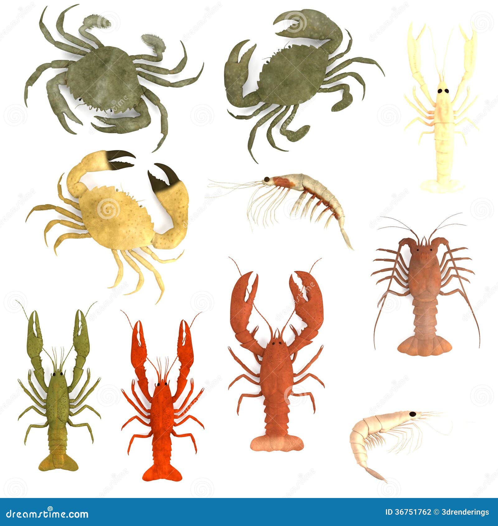 Render Of Crustacean Set Royalty-Free Stock Photography | CartoonDealer ...