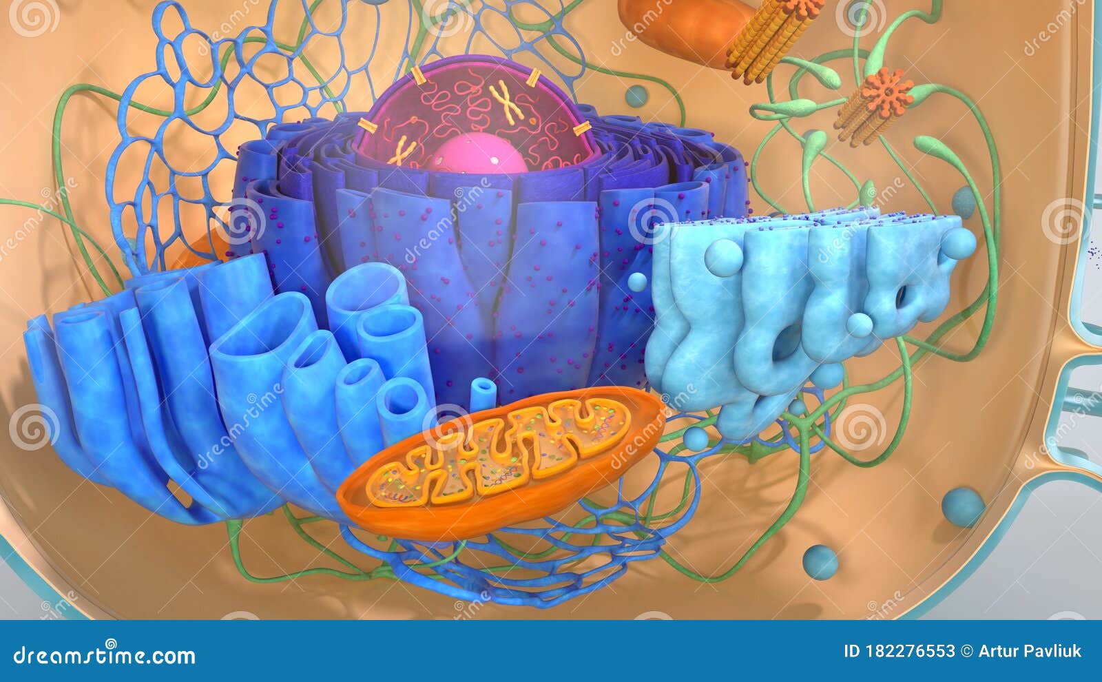 3d Render of Body Cells. 3d Illustration Cell Modell. Stock ...