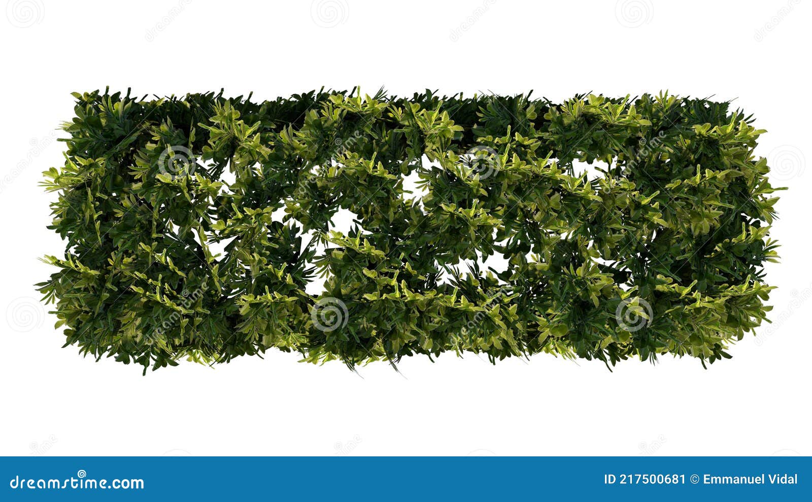Shrub Rendering