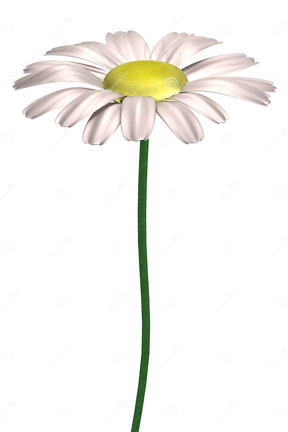 3d render of daisy stock illustration. Illustration of model - 37184398