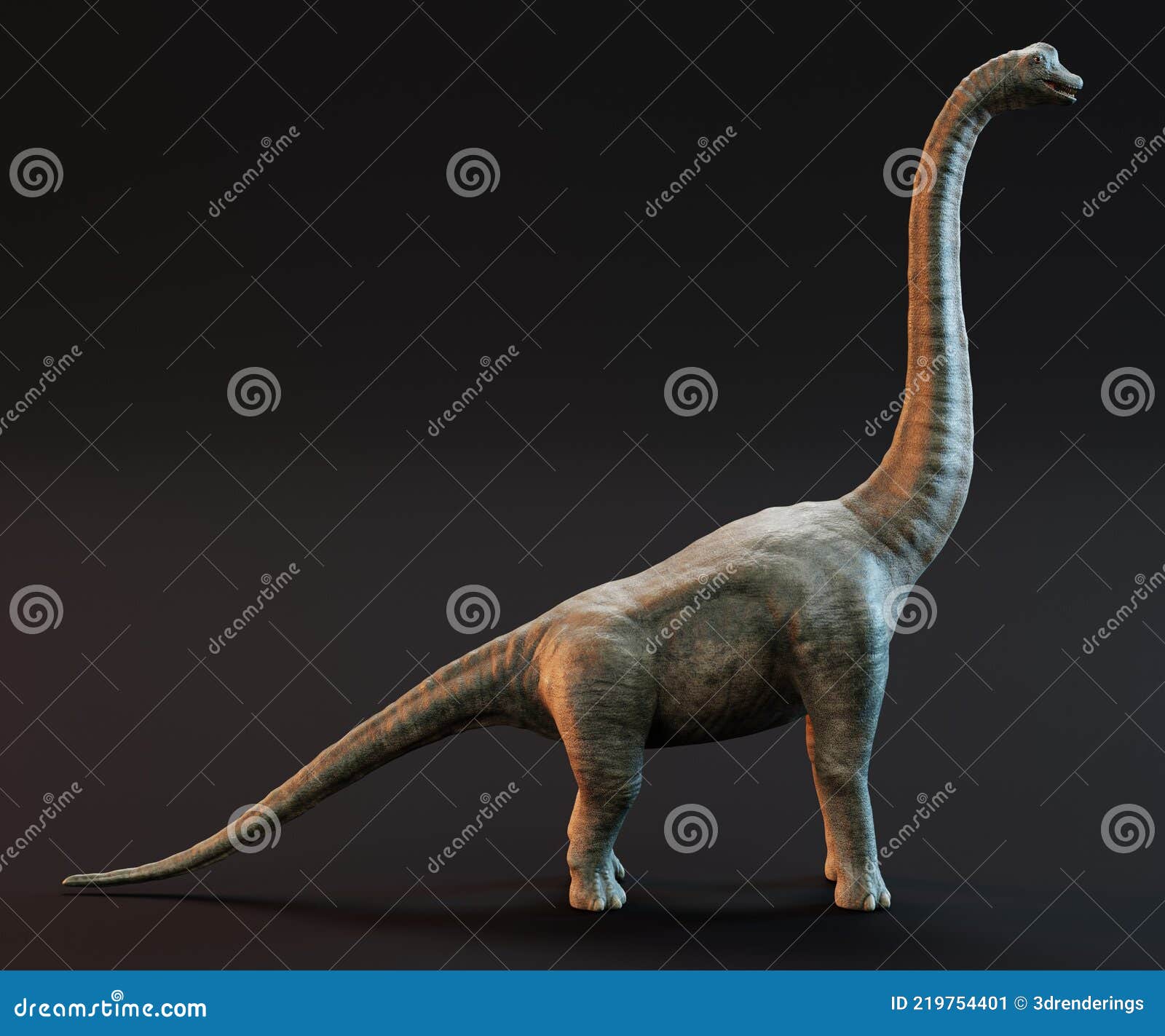 3d Render De Dinosaurio Braquiosaurio Stock de ilustración ...