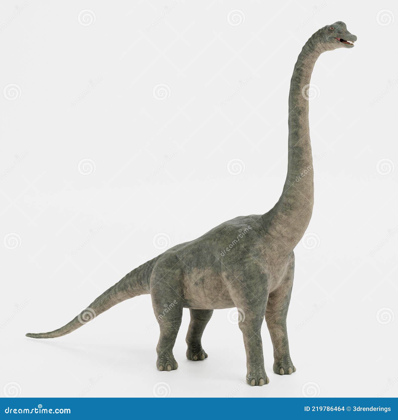 3d Render De Dinosaurio Braquiosaurio Stock de ilustración ...